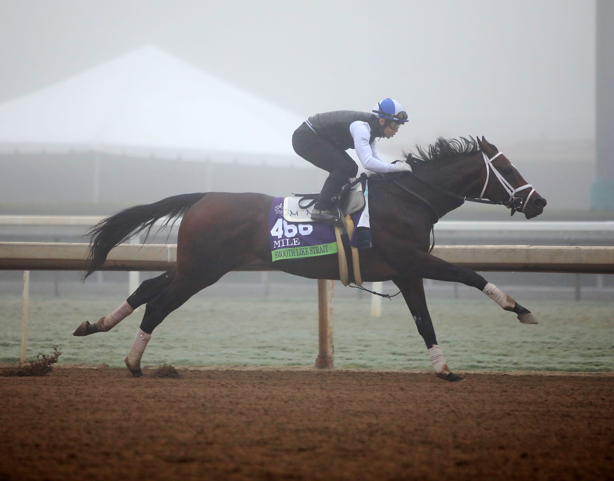 Smooth Like Strait, consistent Grade 1 runner, retired at 6