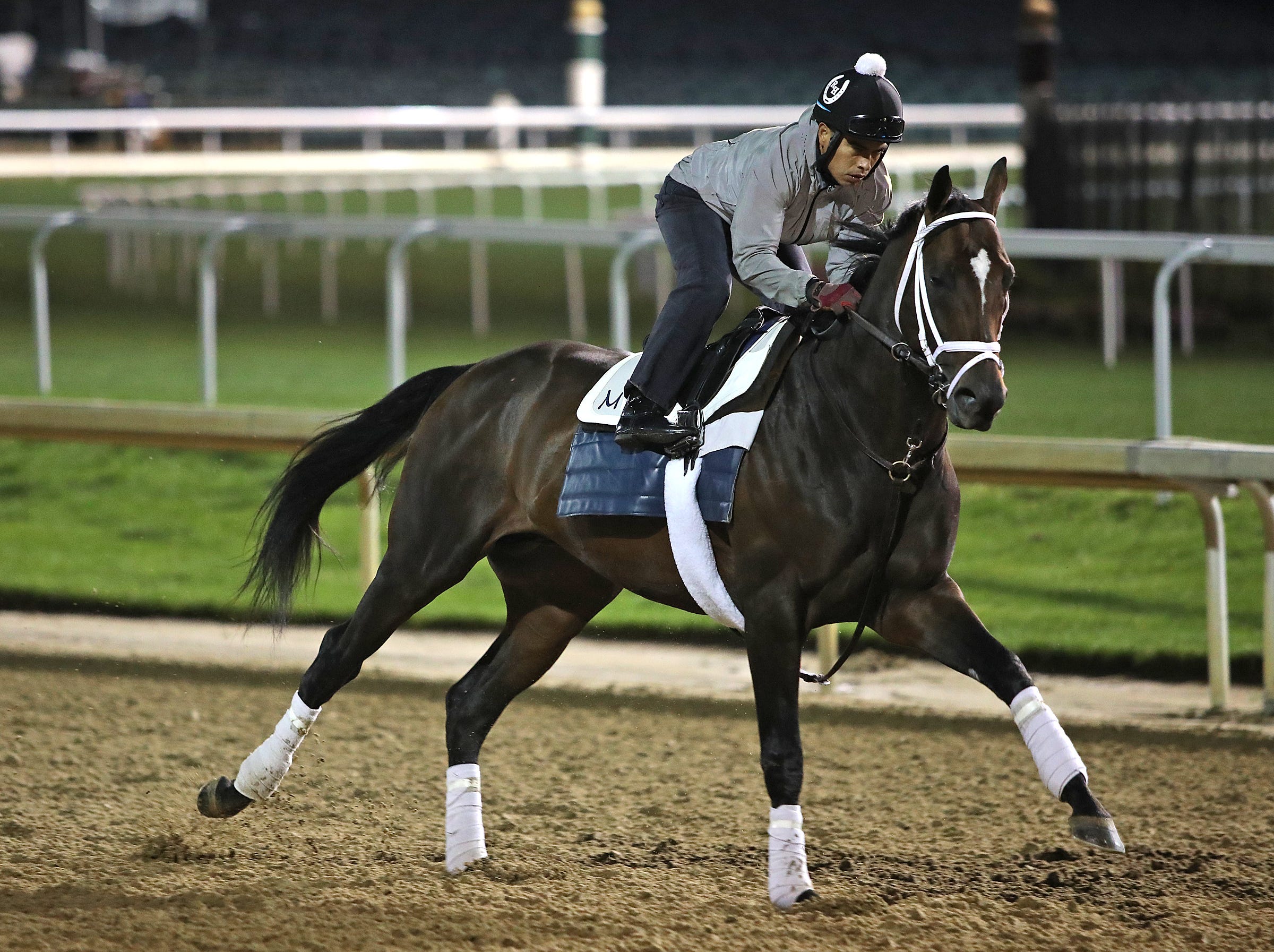 Smooth Like Strait scratched from Coolmore Turf Mile