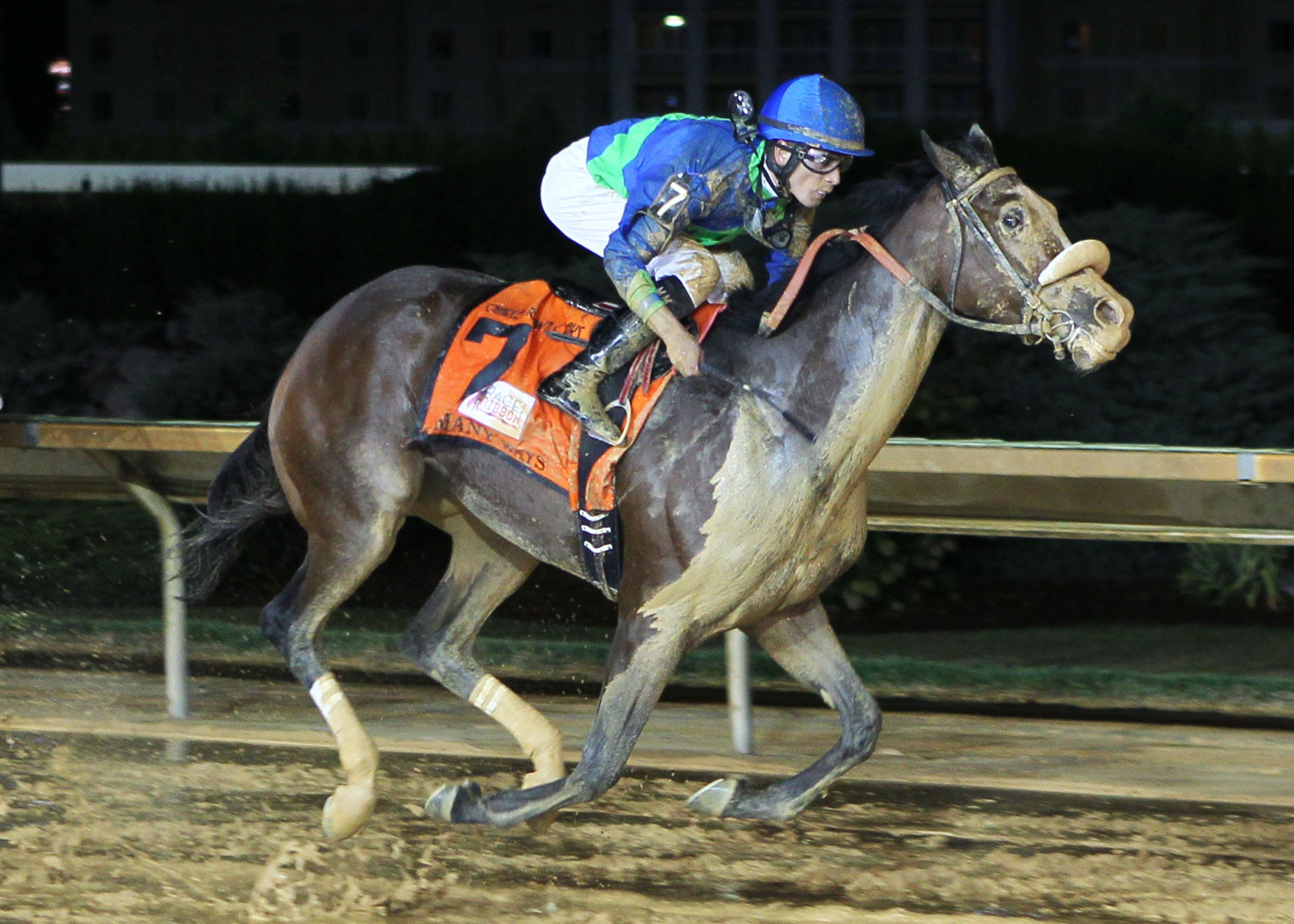 So Many Ways sold to Northern Farm of Japan