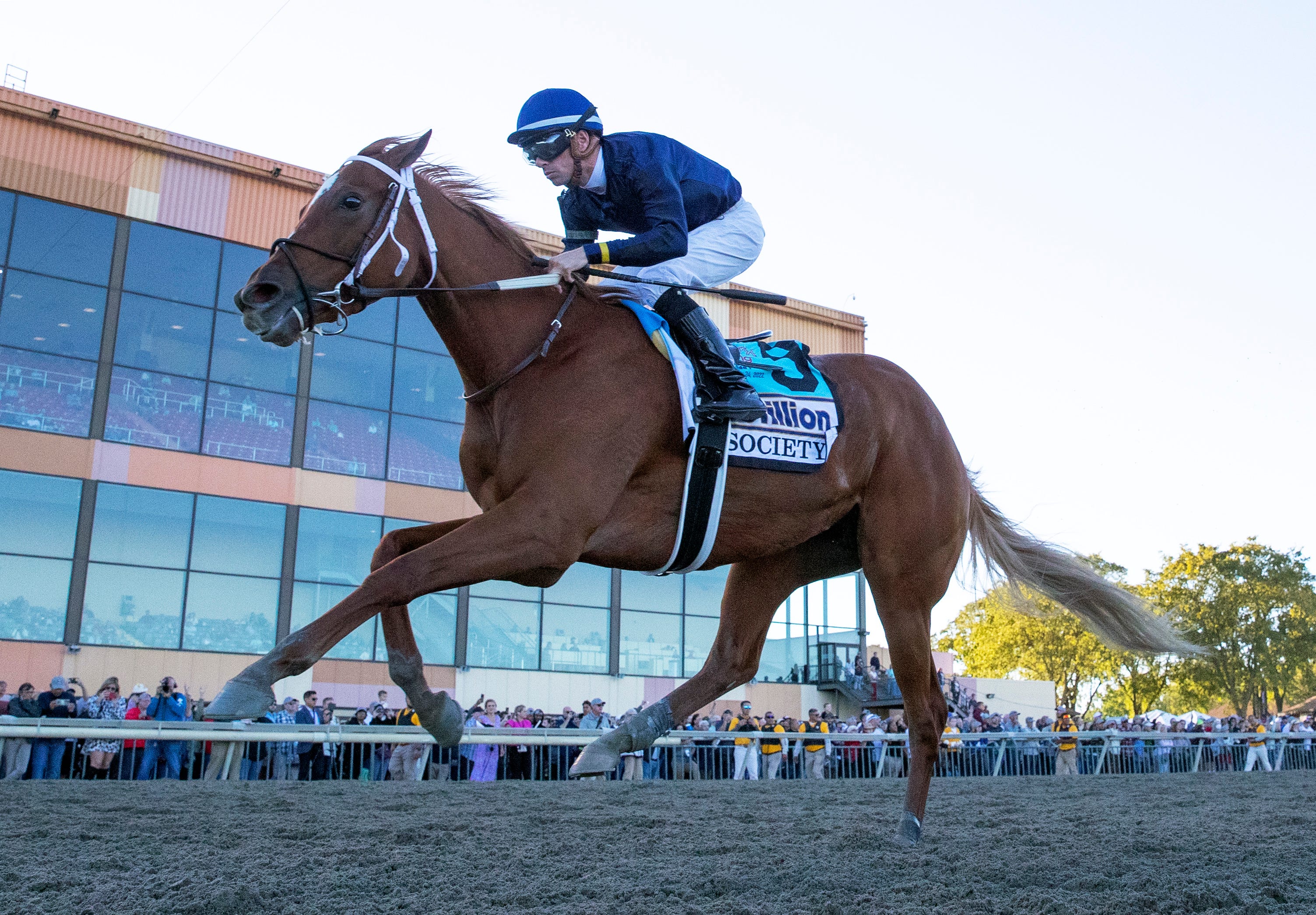 Progeny of Gun Runner win five stakes on Saturday