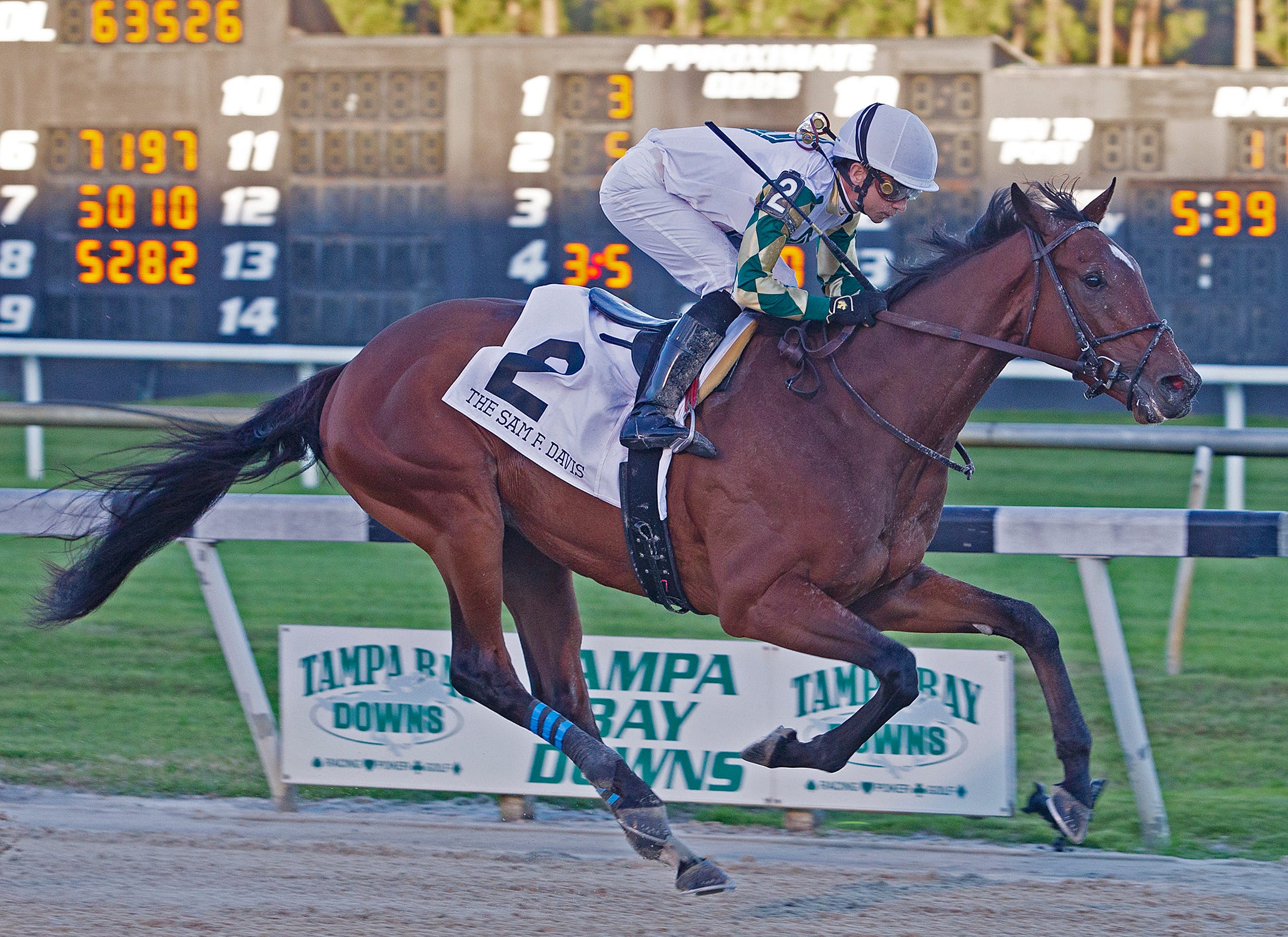 Road to the 2020 Kentucky Derby: Sam F. Davis analysis