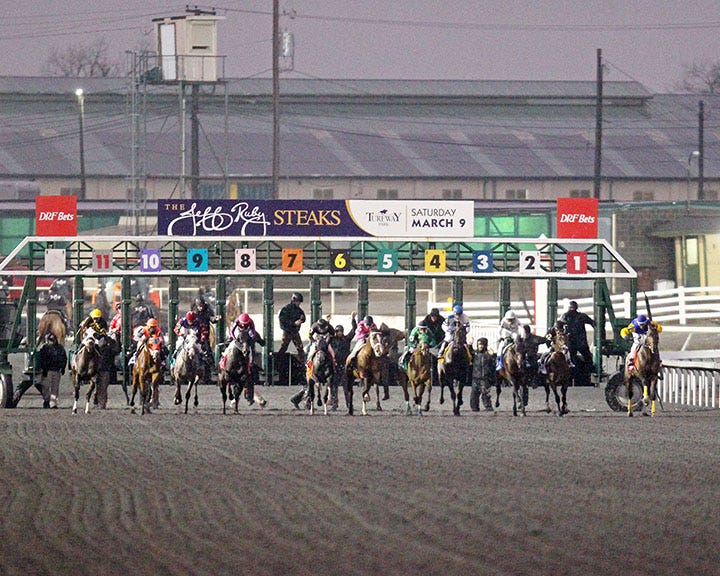 Turfway to replace Polytrack with Tapeta surface