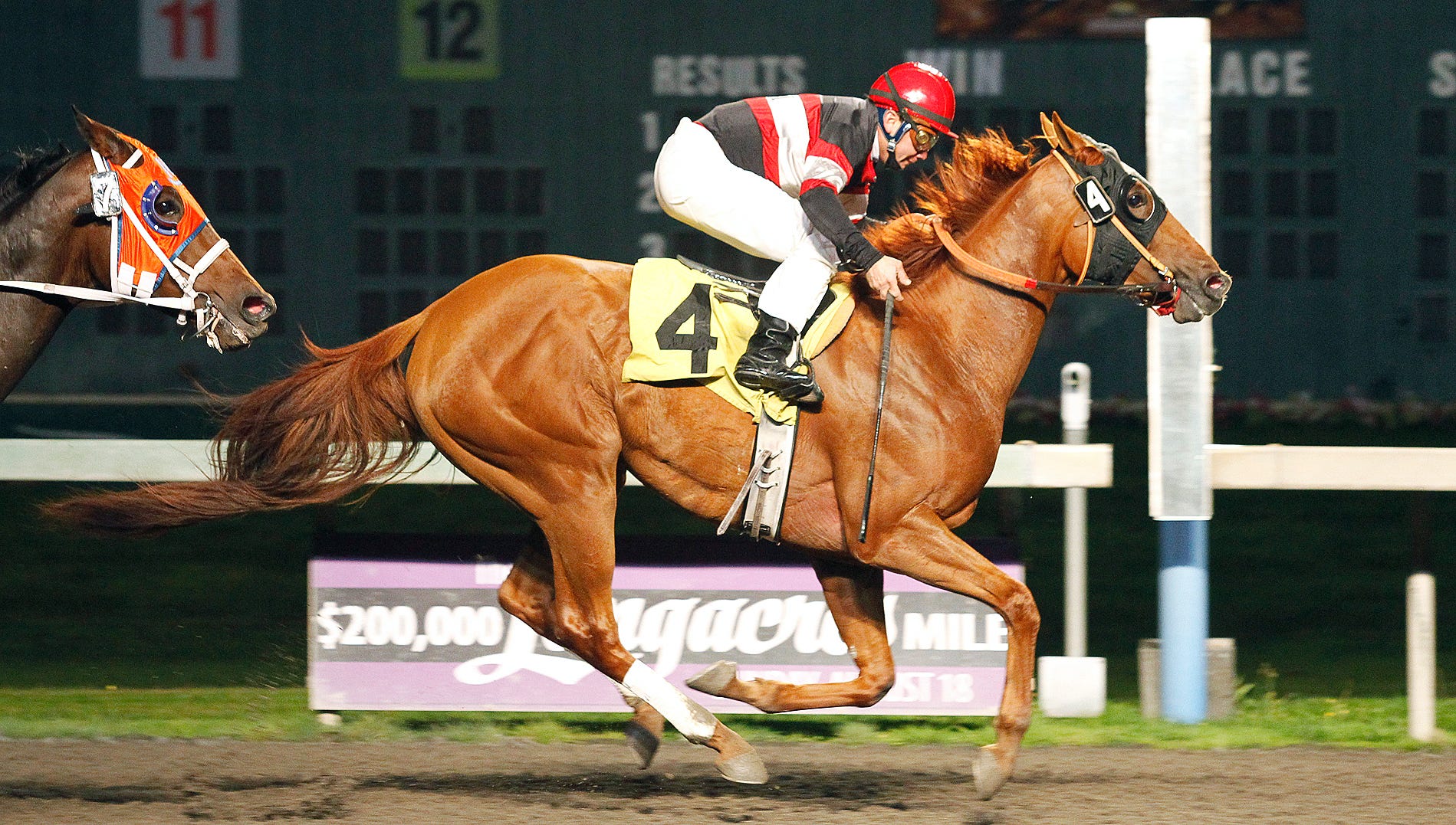 Southern Solution gets class relief in featured claimer