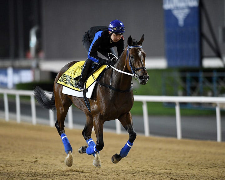 Target now on Southern Legend's back