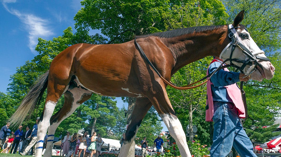 Southern Phantom to stand stud in Virginia