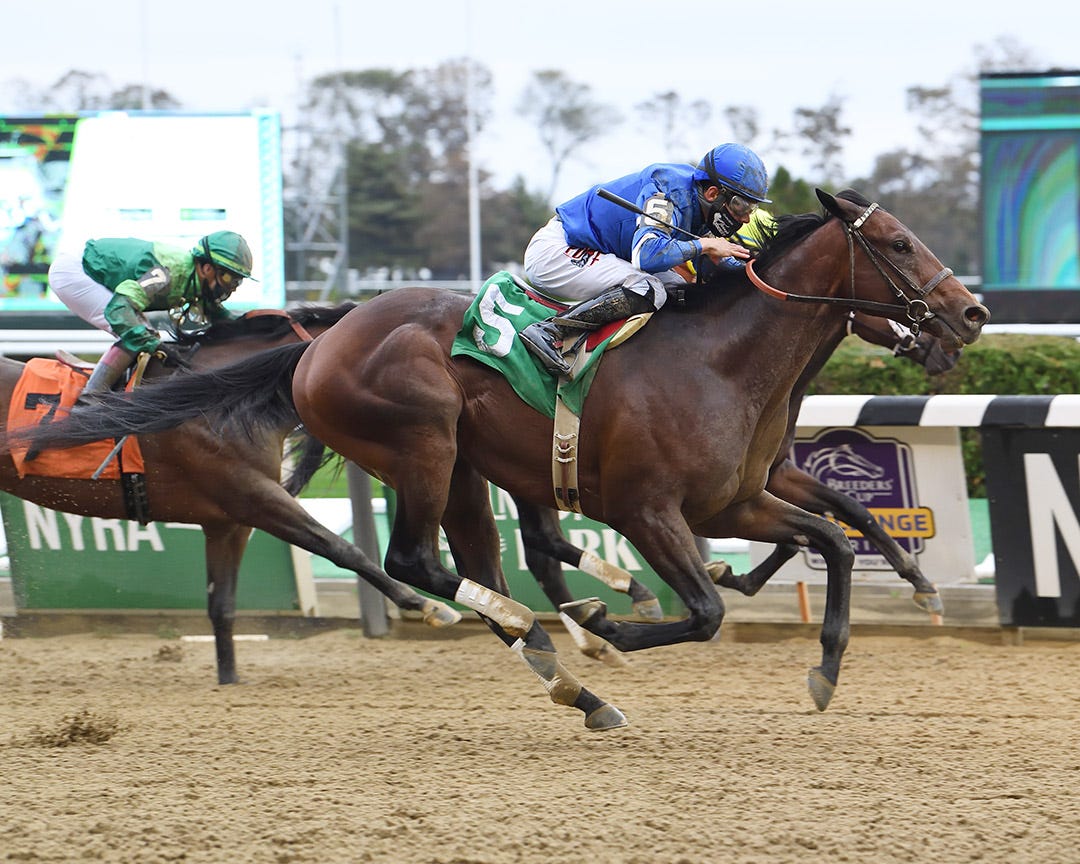 Speaker's Corner part of loaded field for Saturday allowance
