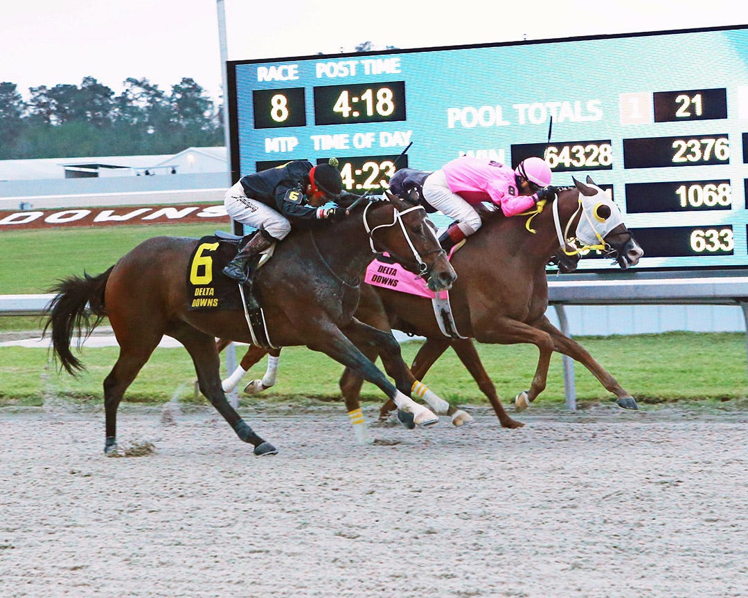 Louisiana racing switches to nights with Evangeline Downs opening
