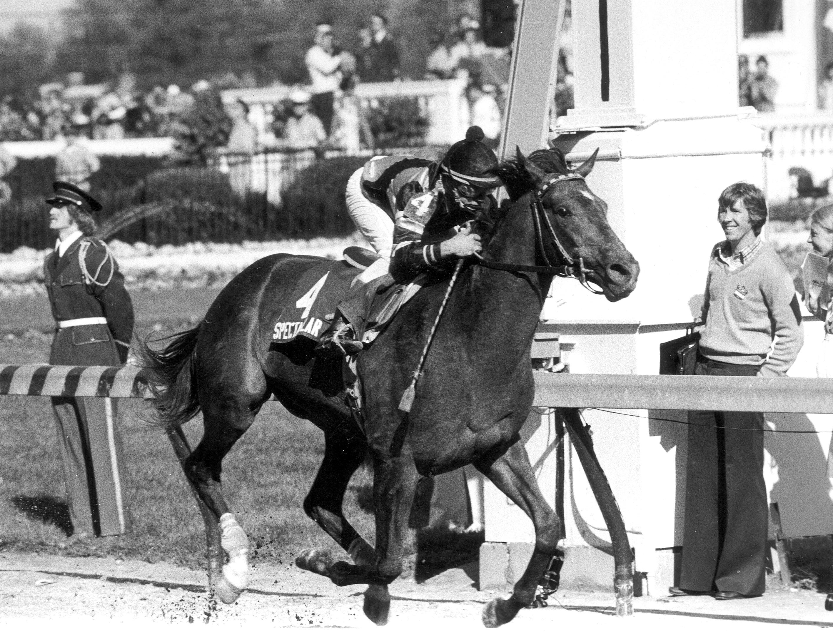 Ronnie Franklin, rode Spectacular Bid to wins in Kentucky Derby and ...