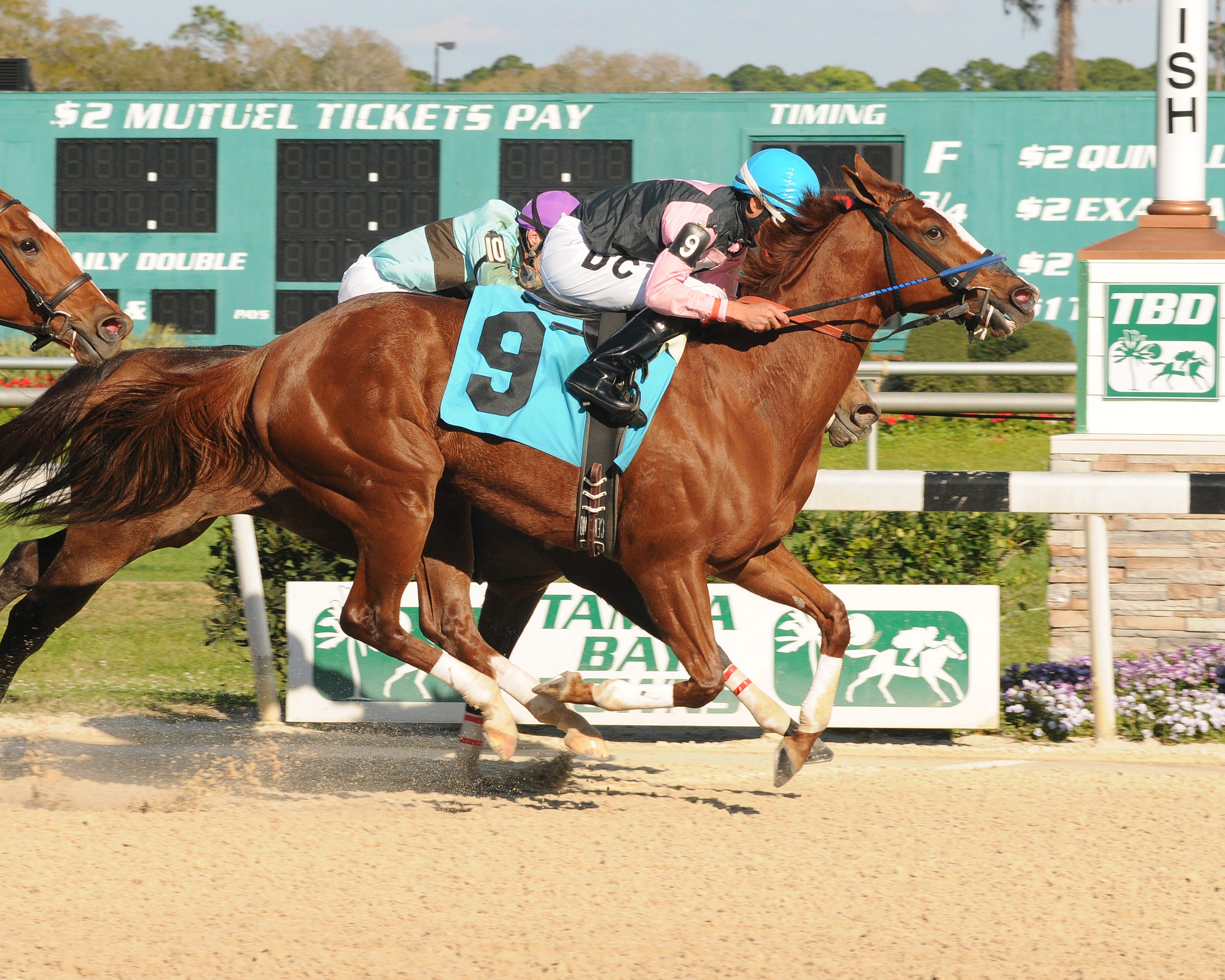 Tampa Bay: Agent laid groundwork for Centeno's stakes win