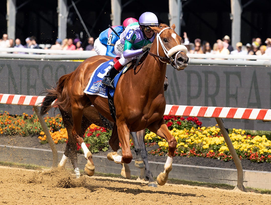 Spice Is Nice shows what she's made of in Allaire duPont Distaff