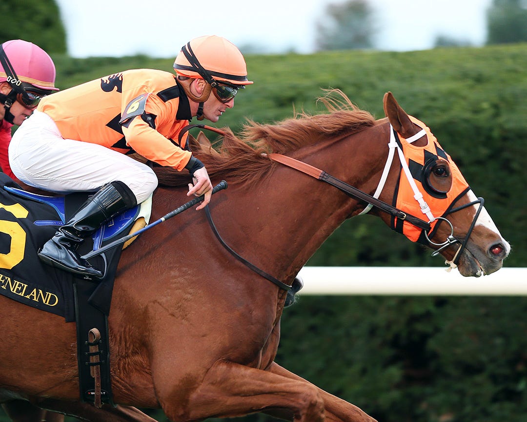 Barkley may run maiden winner Forest Chimes in Rachel Alexandra Stakes