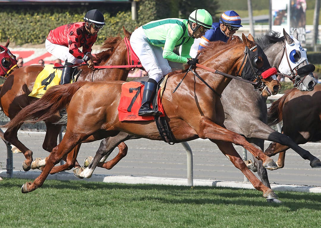 Pace remains the key at outer turf rail setting
