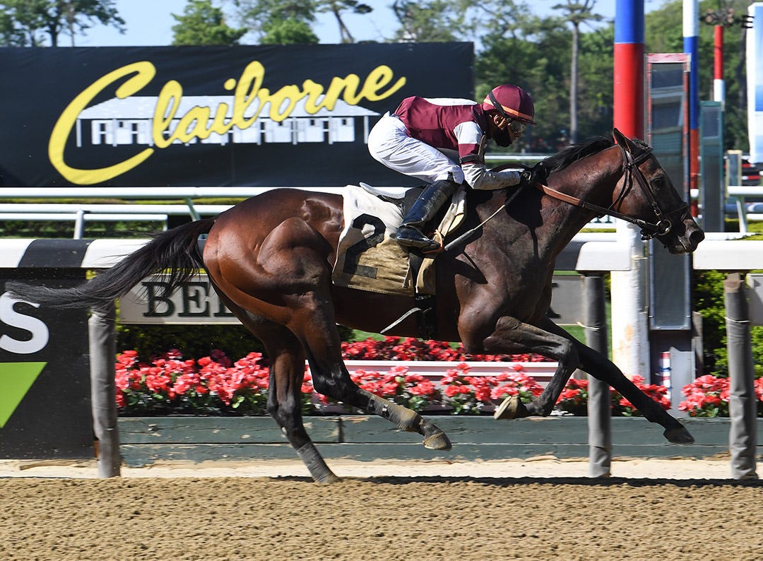 Stage Raider might continue his education in Dwyer Stakes