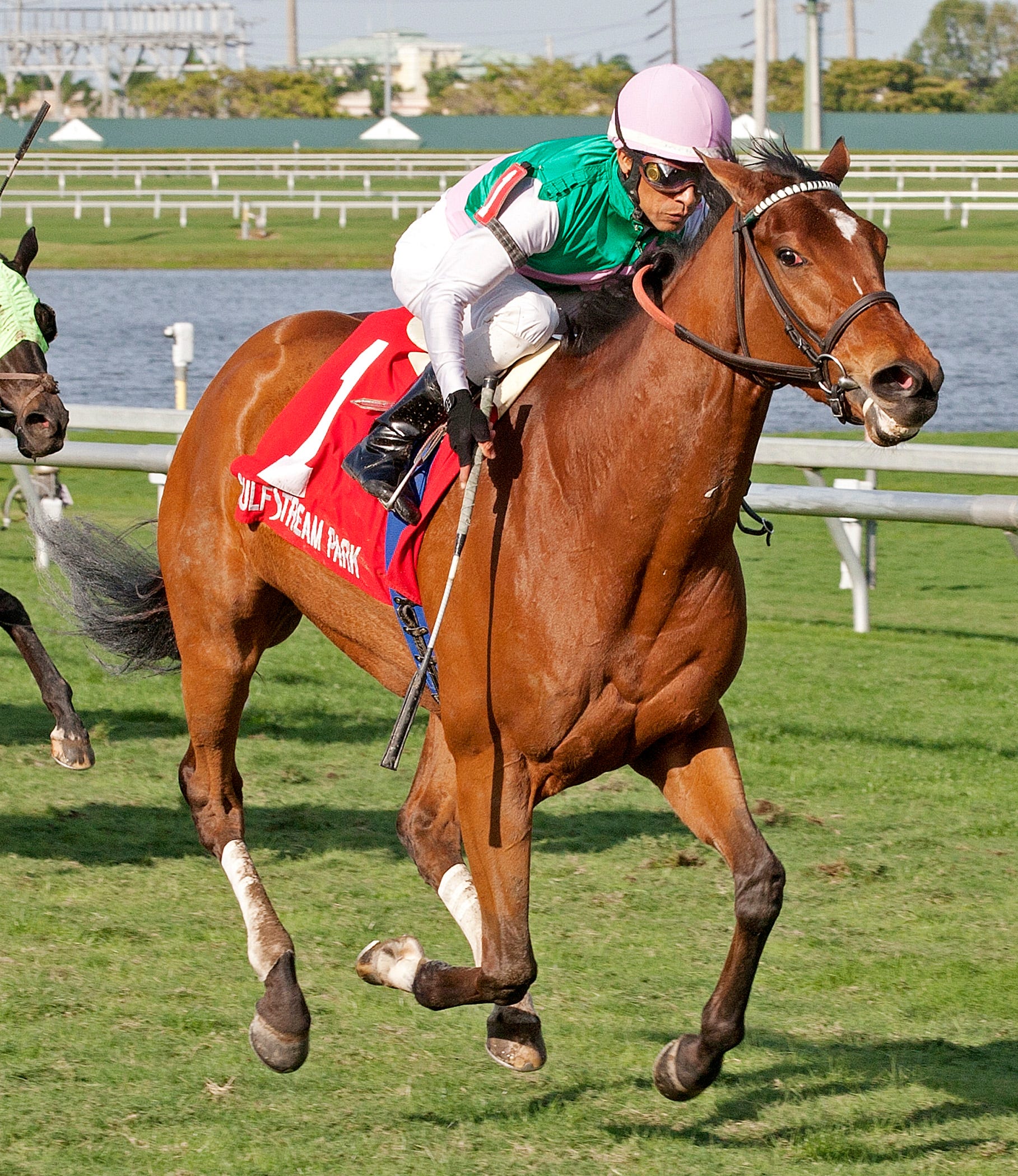 Gulfstream Park: Starformer affirms love of distance in The Very One