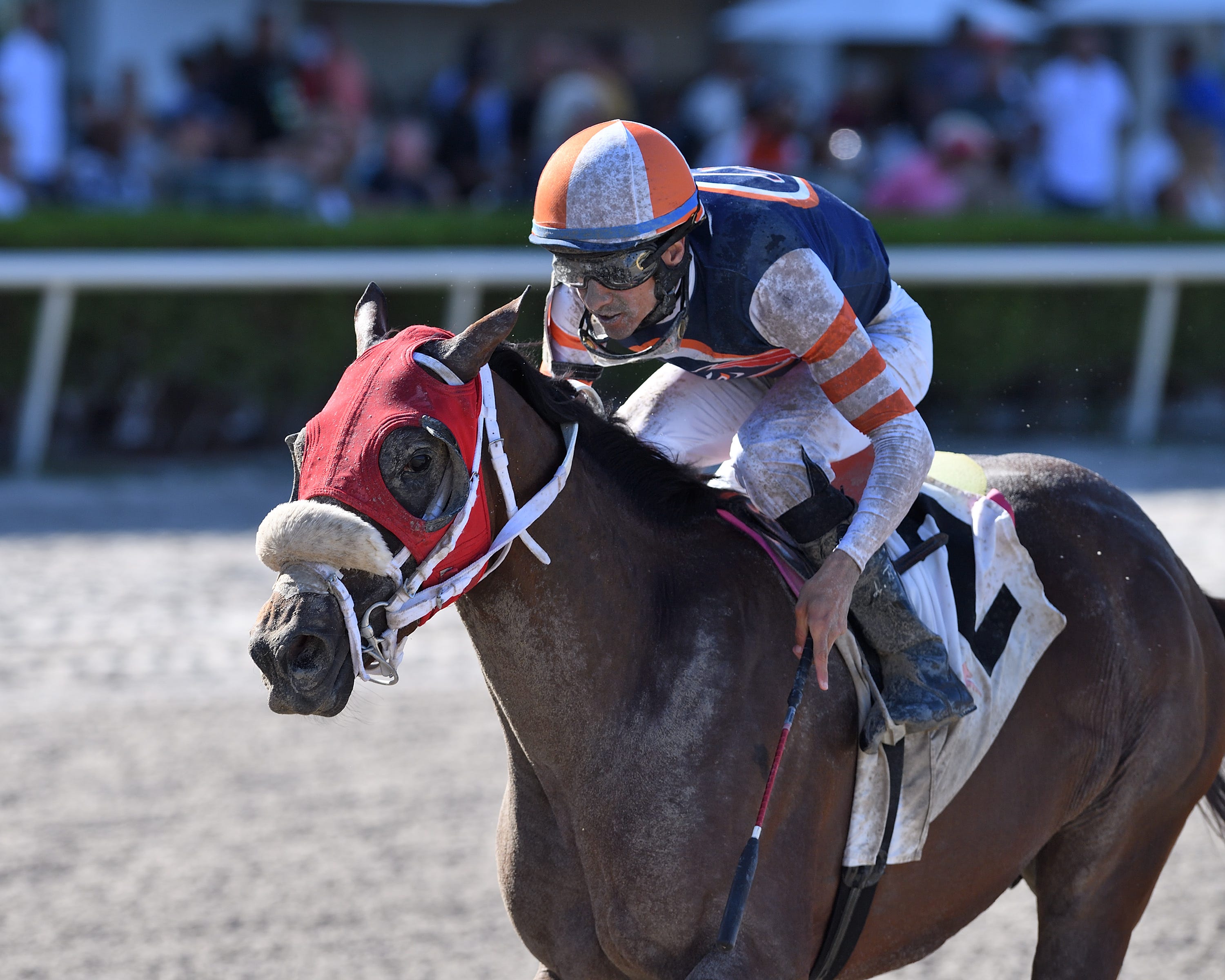 Steal Sushine figures to draw a trip in Mr. Prospector