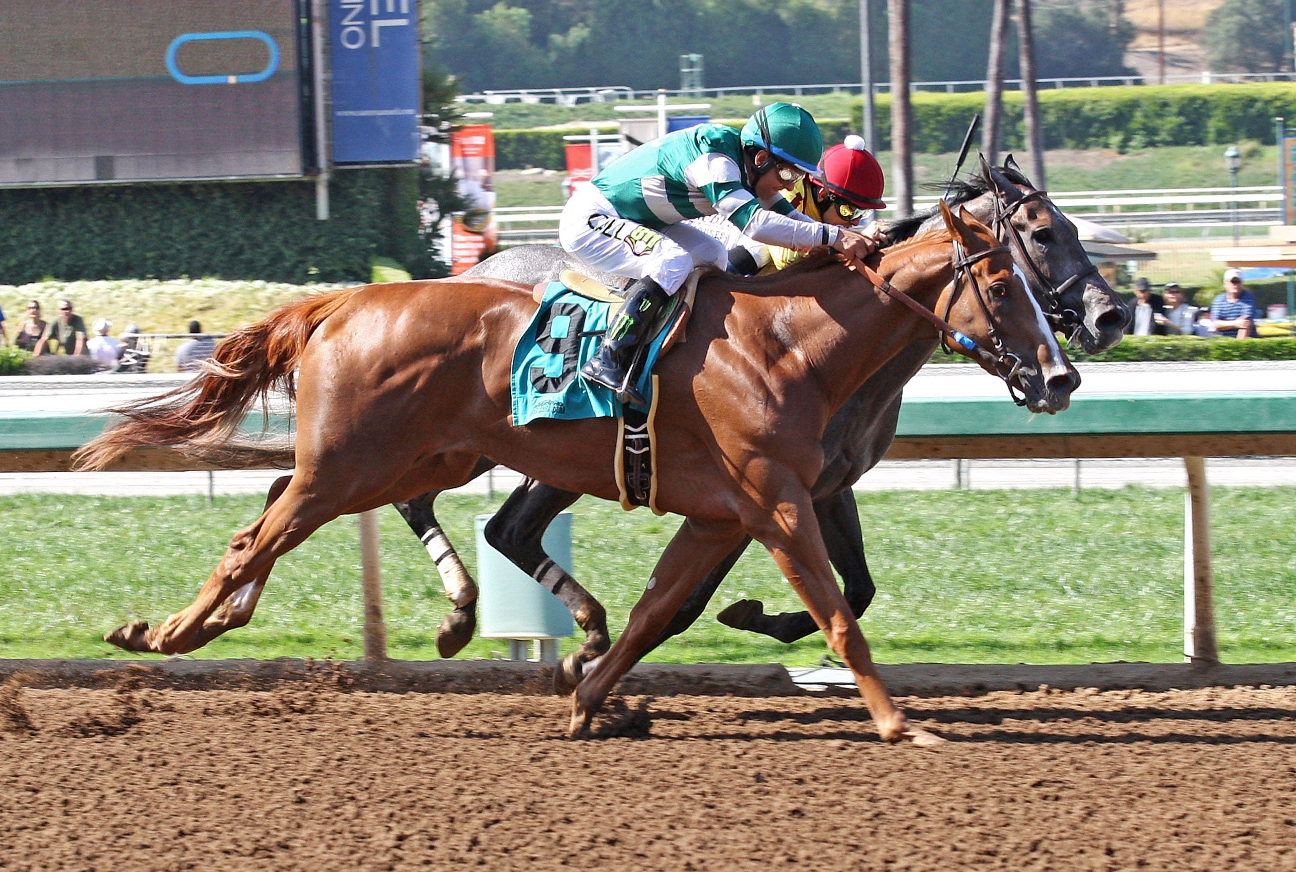Stellar Wind’s next start hinges on turf workout