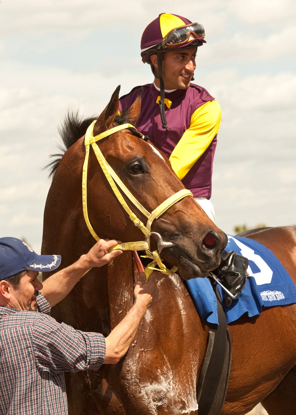 Gold Cup on horizon for Storm Fighter