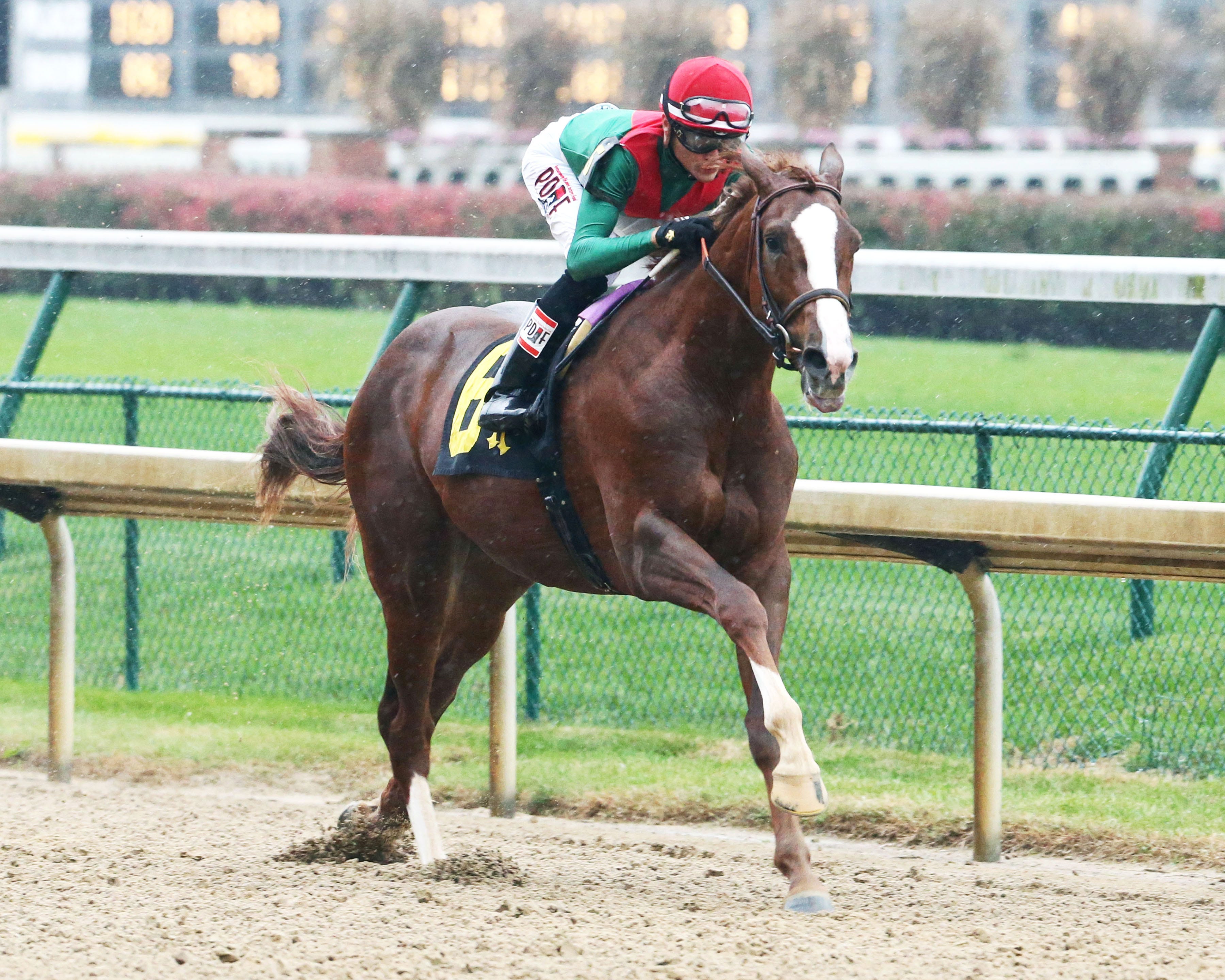 Storm Runner to Fountain of Youth