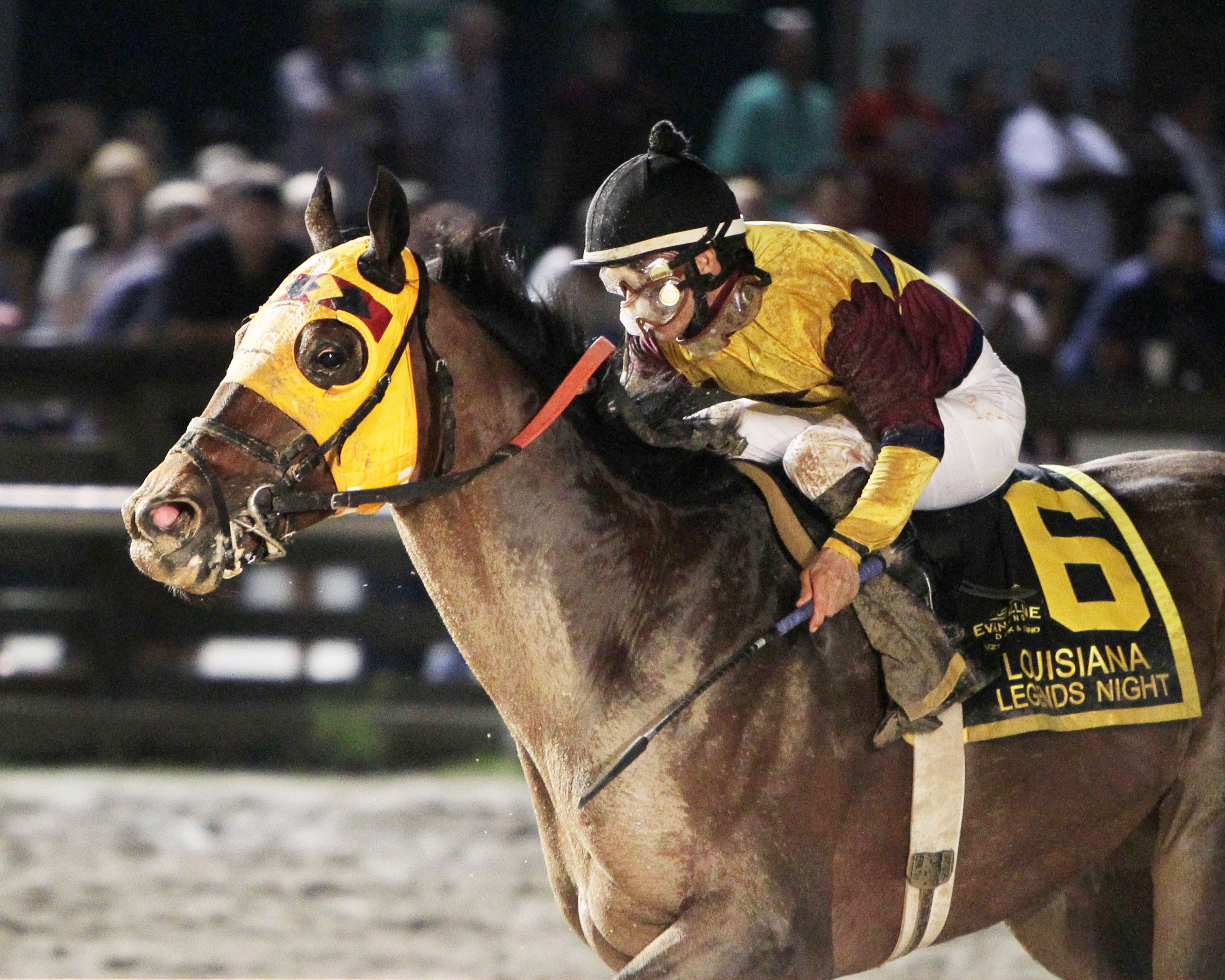 Stormdriver, The Pickett Factor meet in redrawn Gold Cup