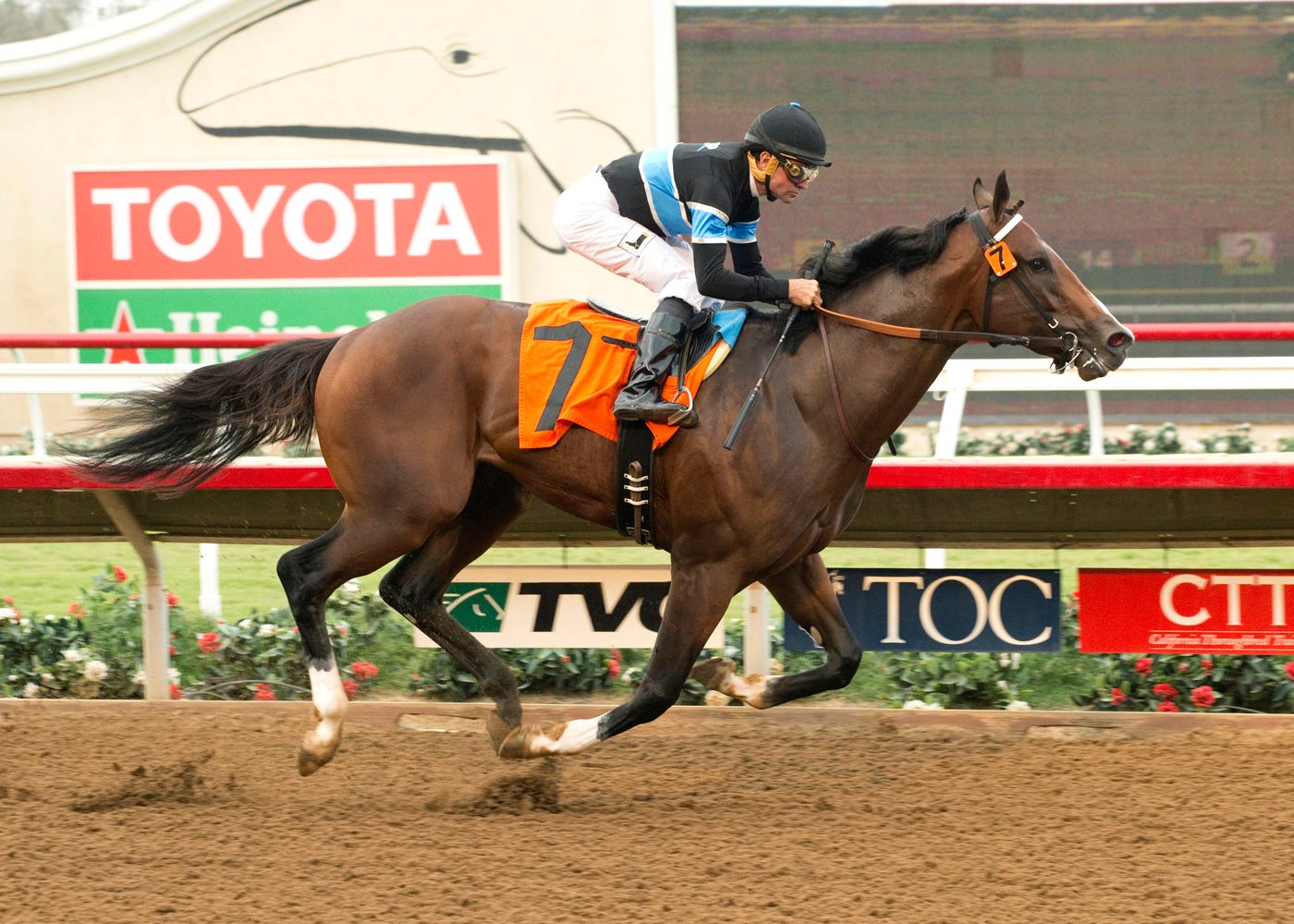 Straight Fire calls it a season