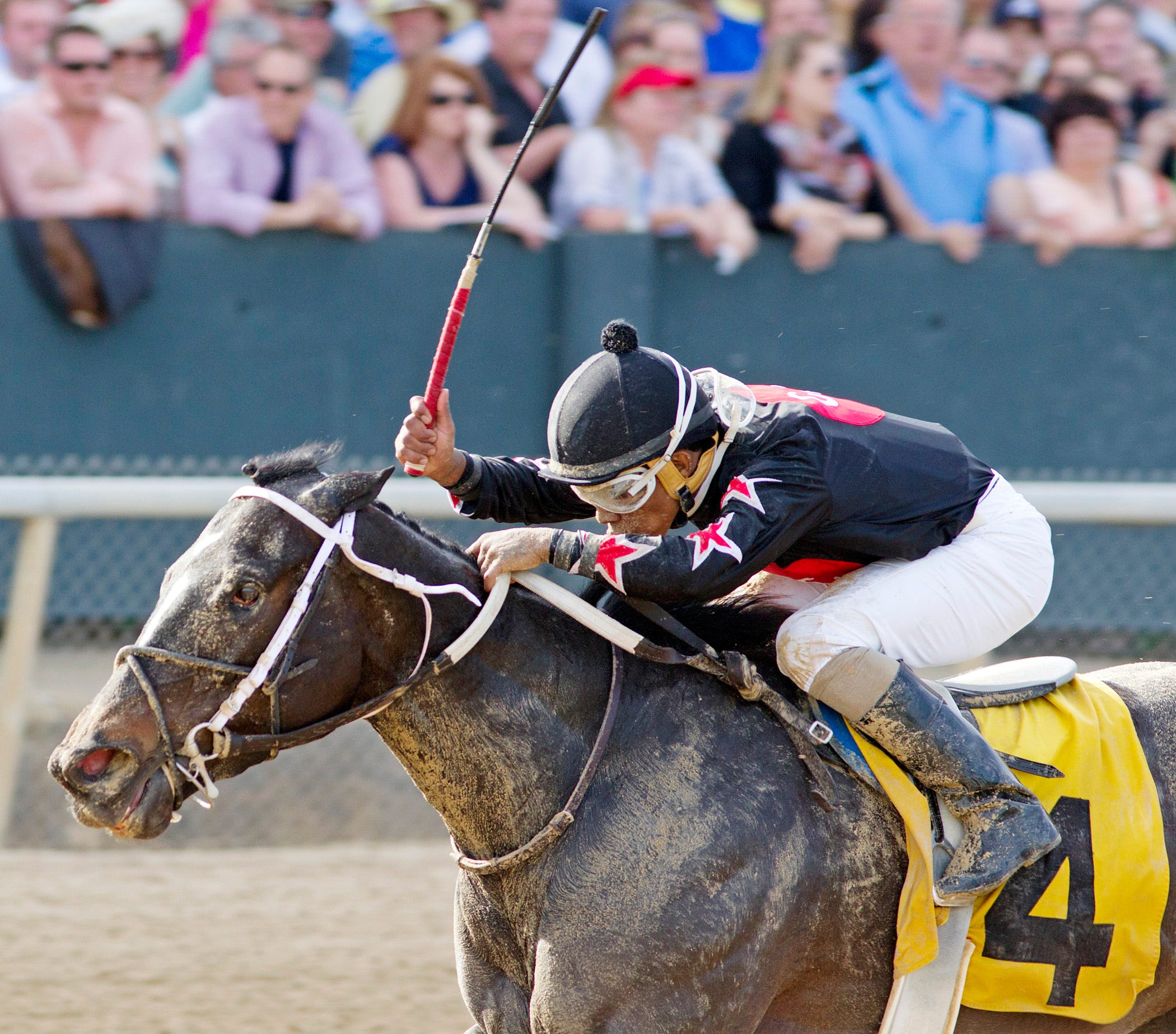 Street Story may benefit from early speed in Victory Ride Stakes