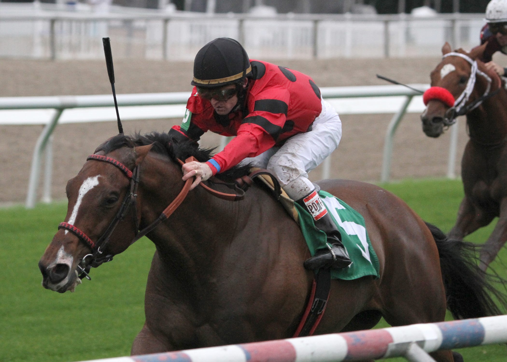 Fair Grounds: Louisiana Champions Day Classic distance ideal for String ...