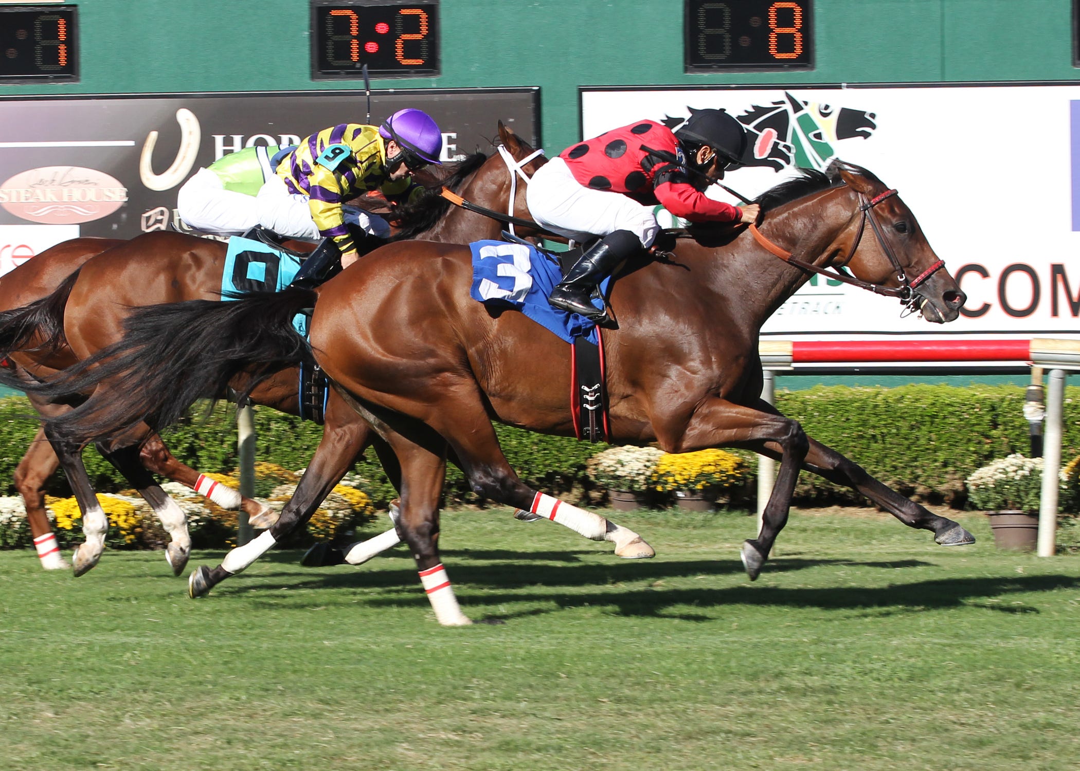 Allied Air Raid makes grass debut in Unbridled Stakes