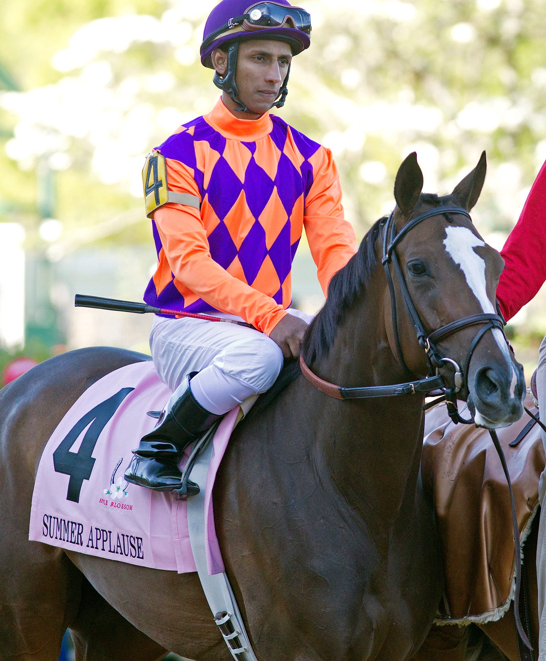 Pimlico: Allaire DuPont rebound spot for Summer Applause