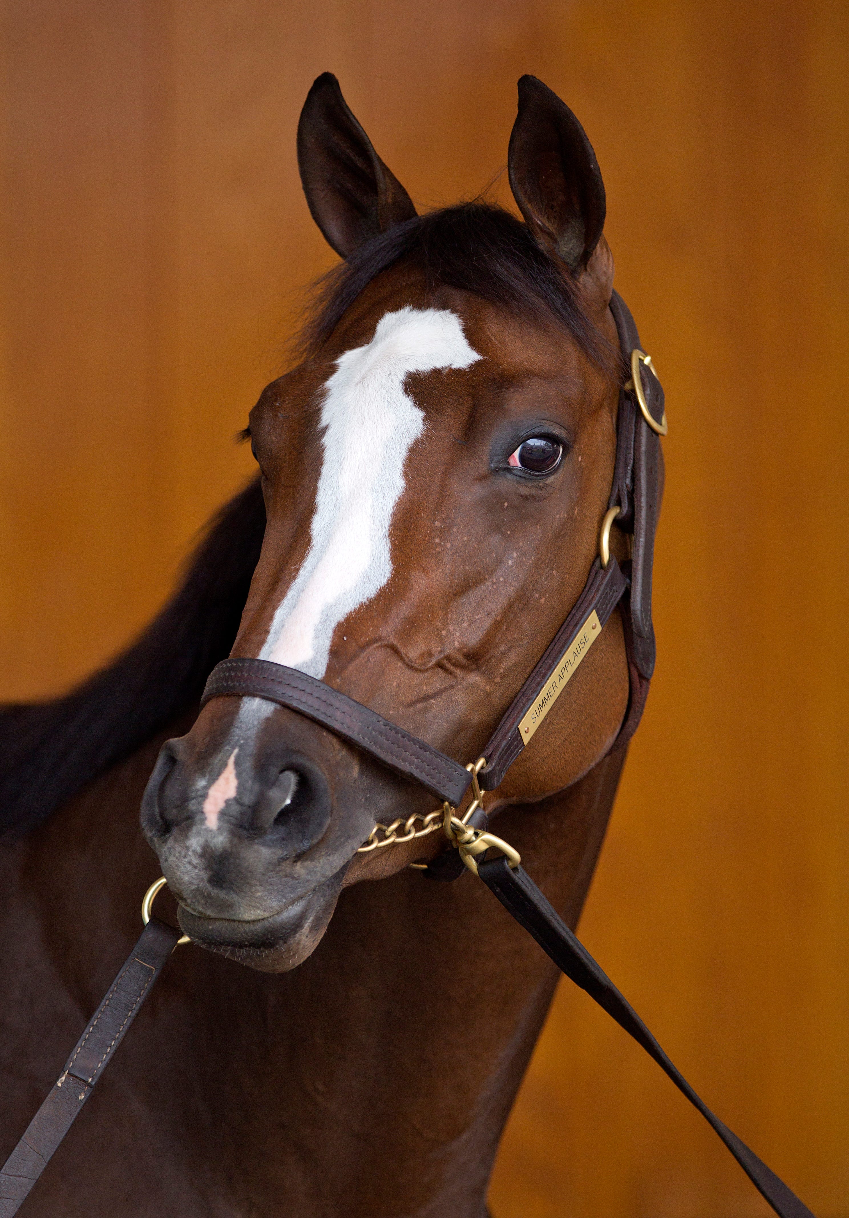 Fair Grounds: Summer Applause transferred from Calhoun to Brown