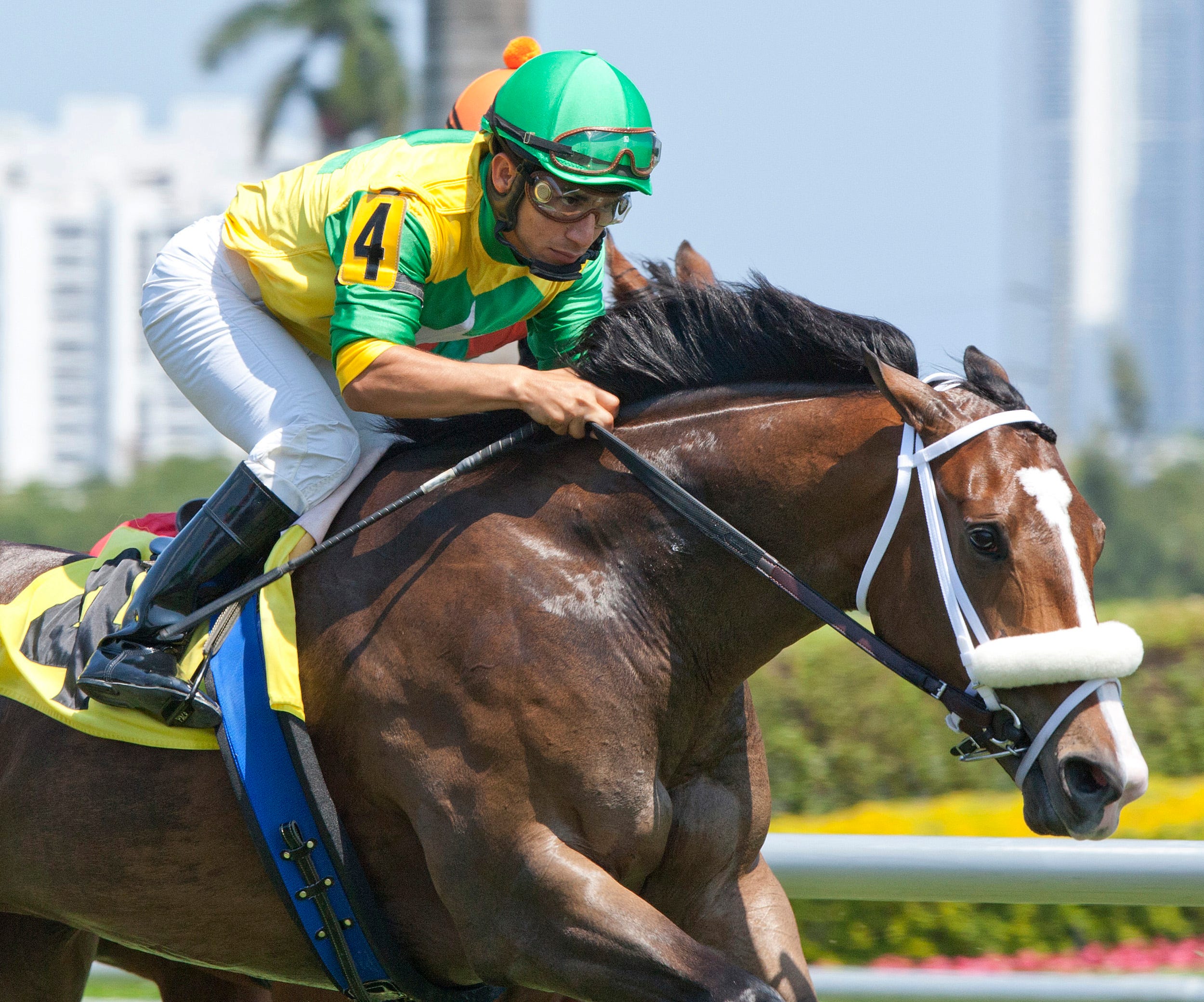 Calder Oaks looks like Summer of Fun's for the taking