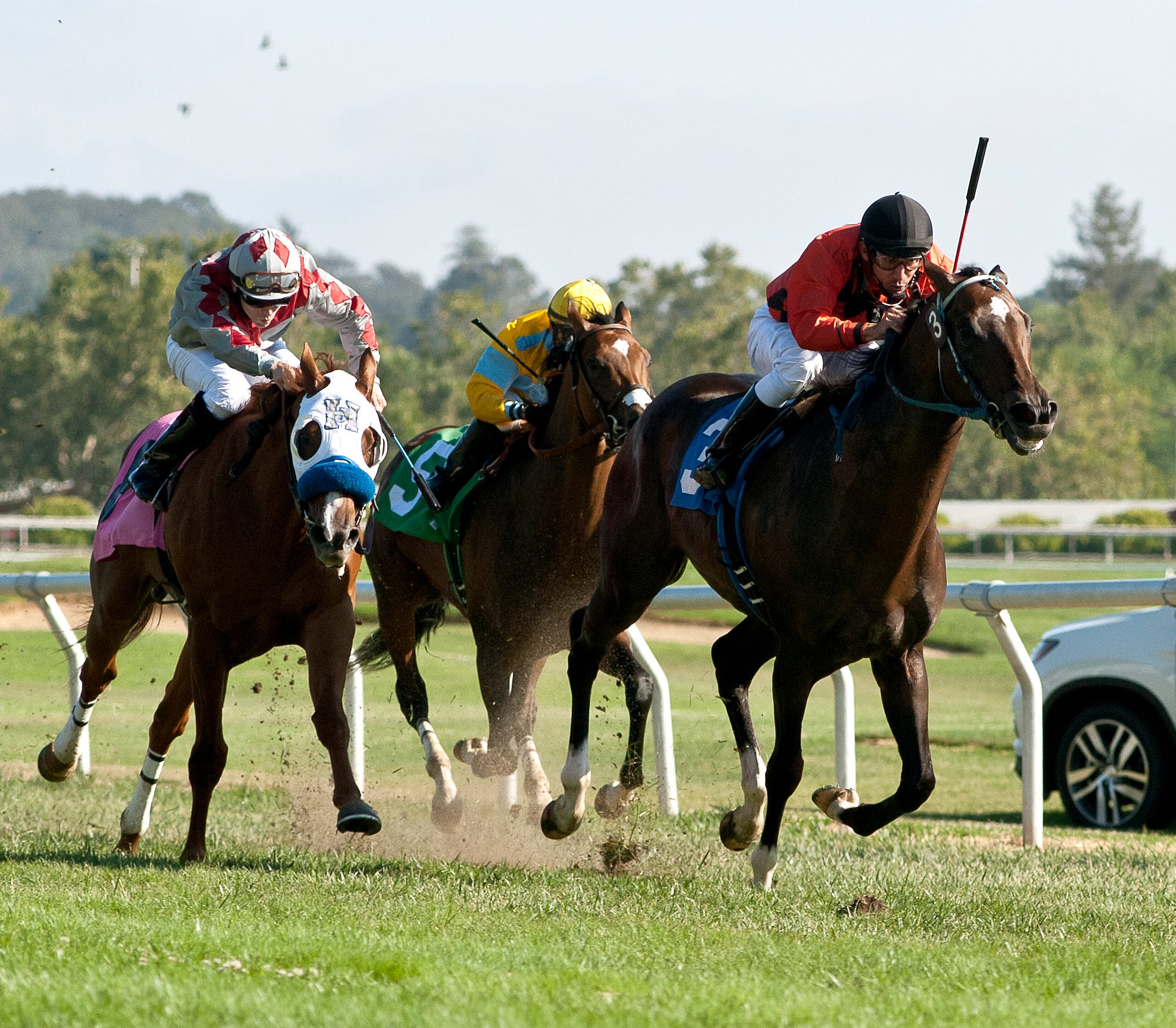 Summersimage wires Robert Dupret Derby field