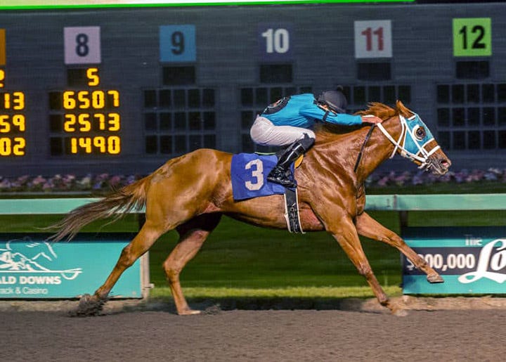 Sunshine Emily poised to fire off a layoff