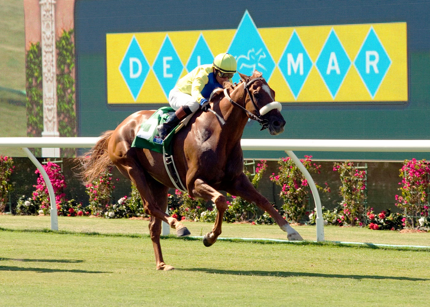 New Del Mar turf course plays fast