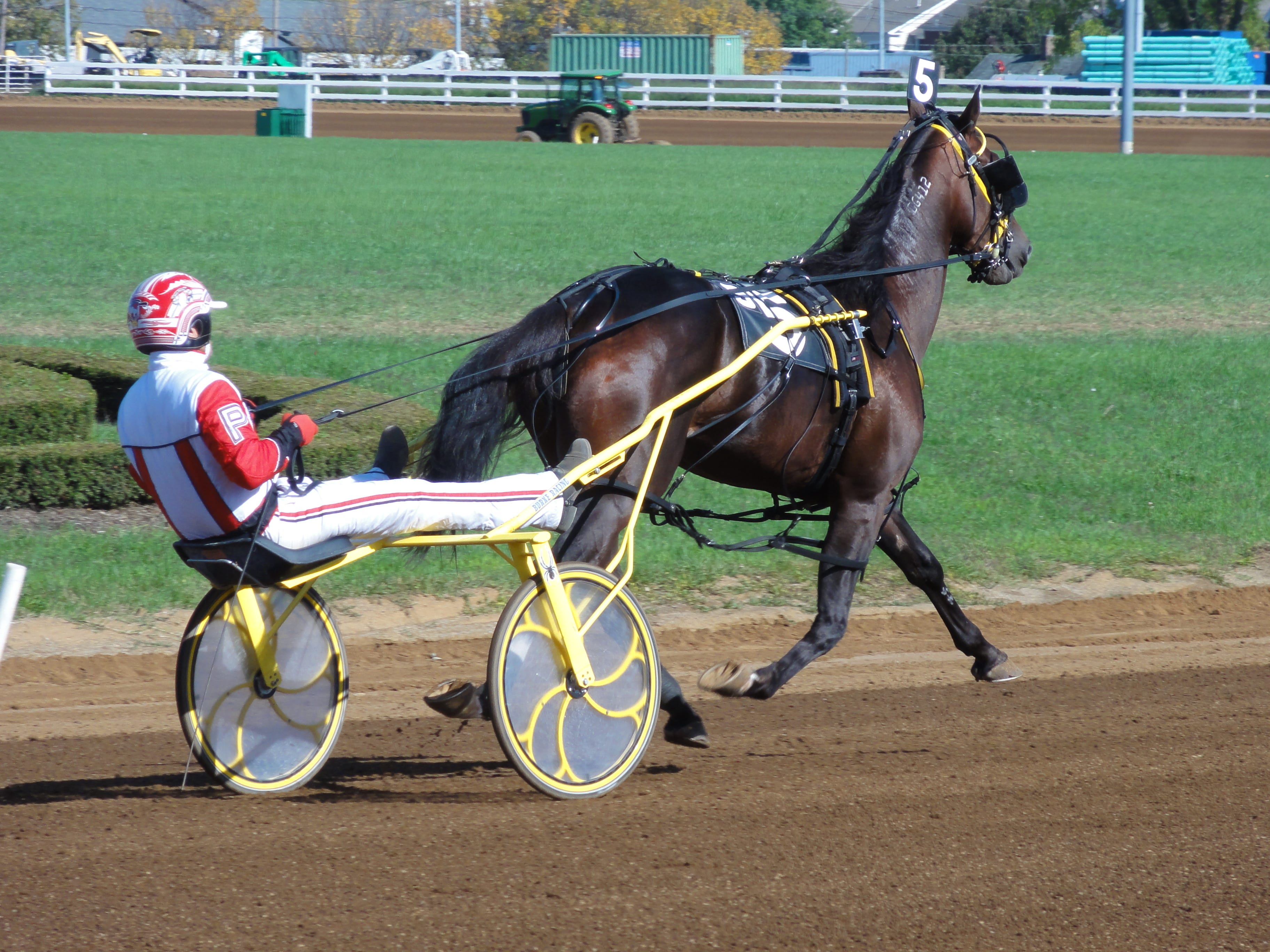 Harness Racing: Sweet Lou hopes for a championship year