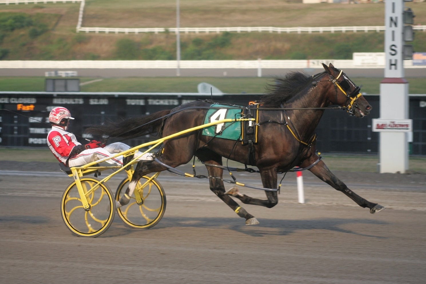 Adios: Sweet Lou and Palone look tough from inside at The Meadows