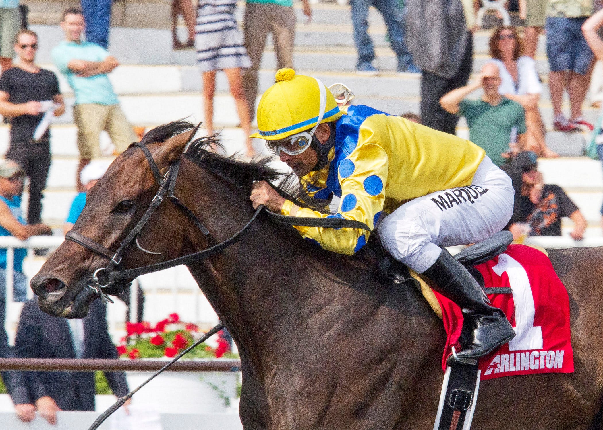 Sweet Luca looks to overcome speed bias in Cammack