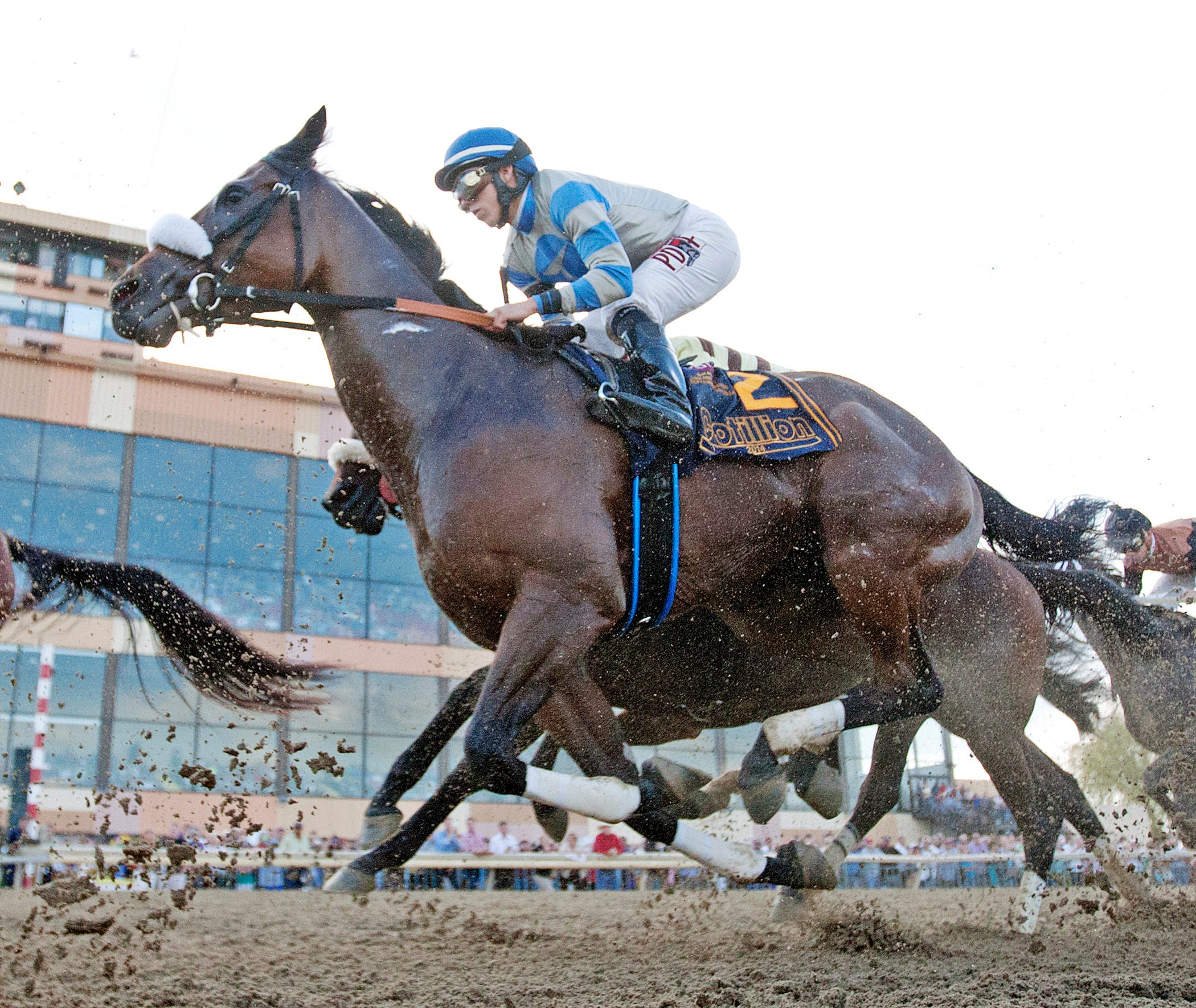 Sweet Reason back on track after eye injury