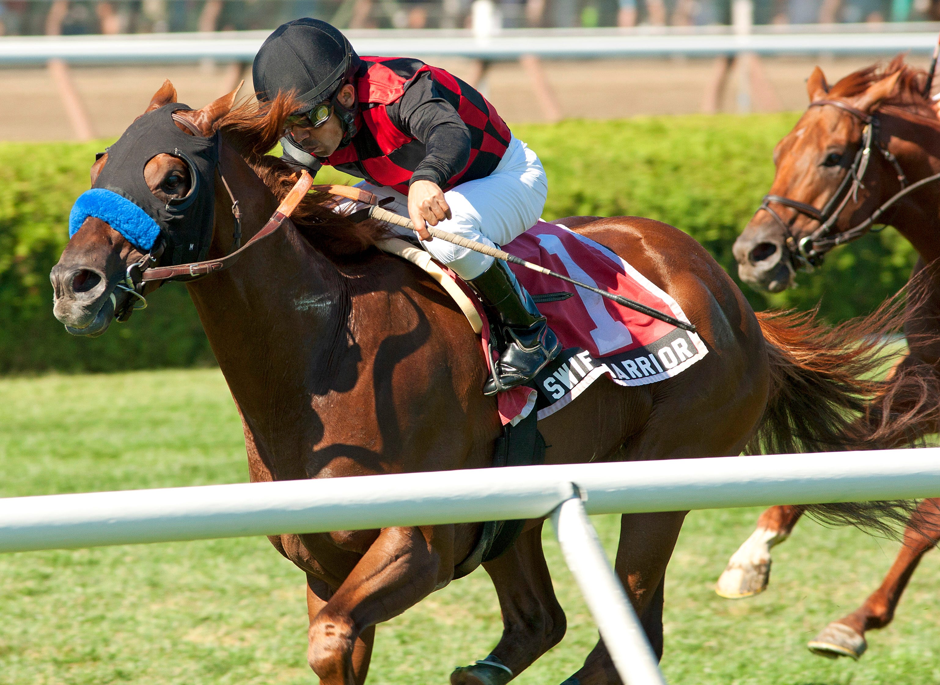 Saratoga: Swift Warrior back in winner’s circle