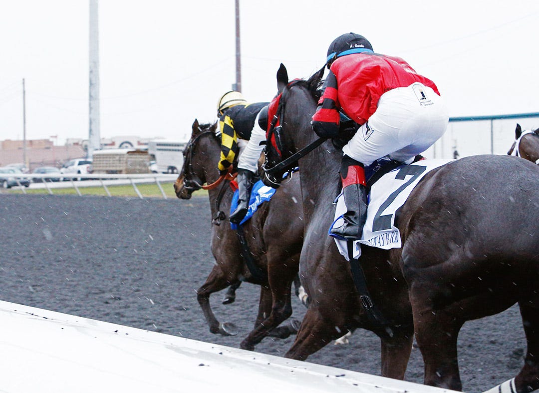 Turfway has new Tapeta surface but no grandstand