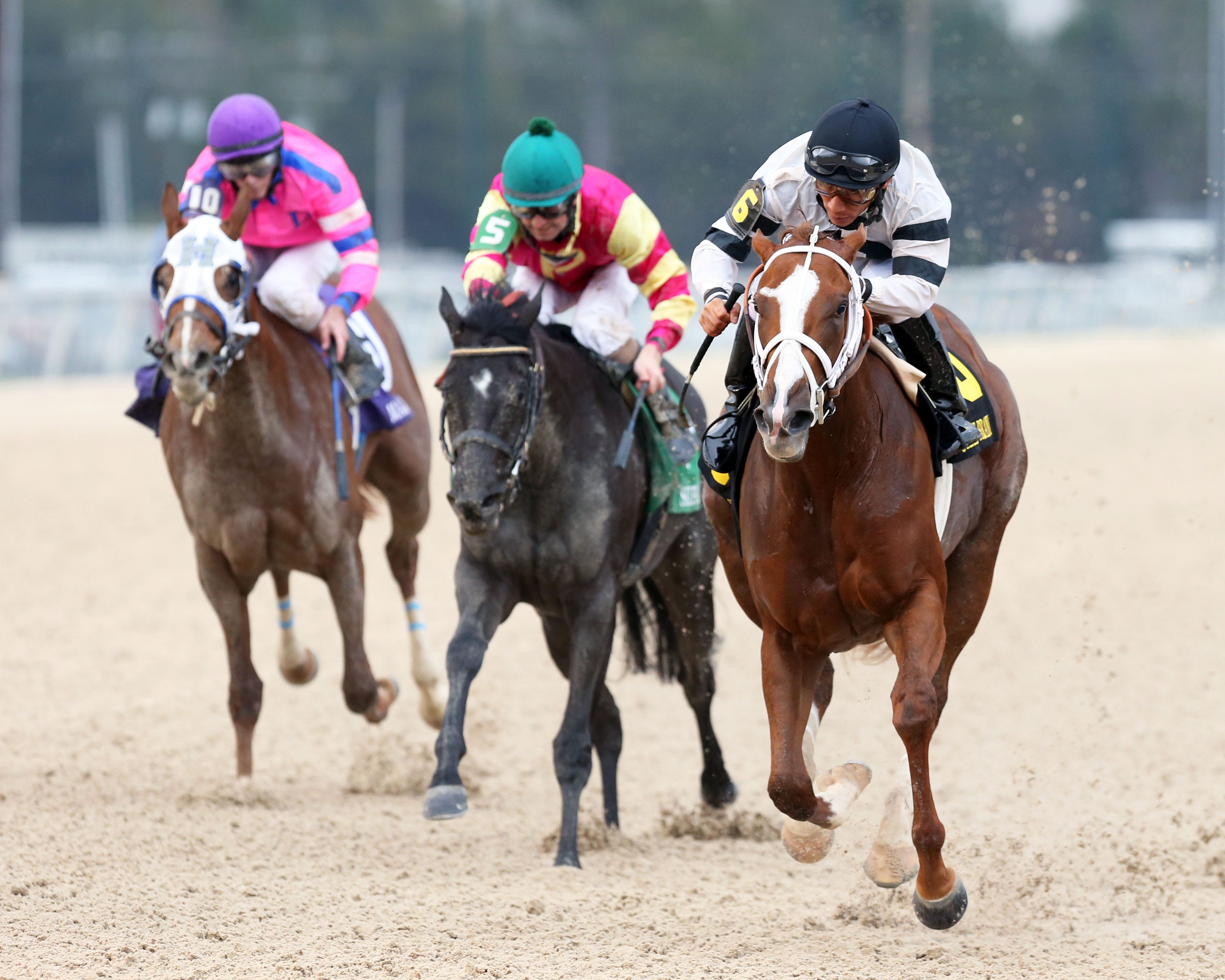 Take Charge Brandi may run once more in Starlet