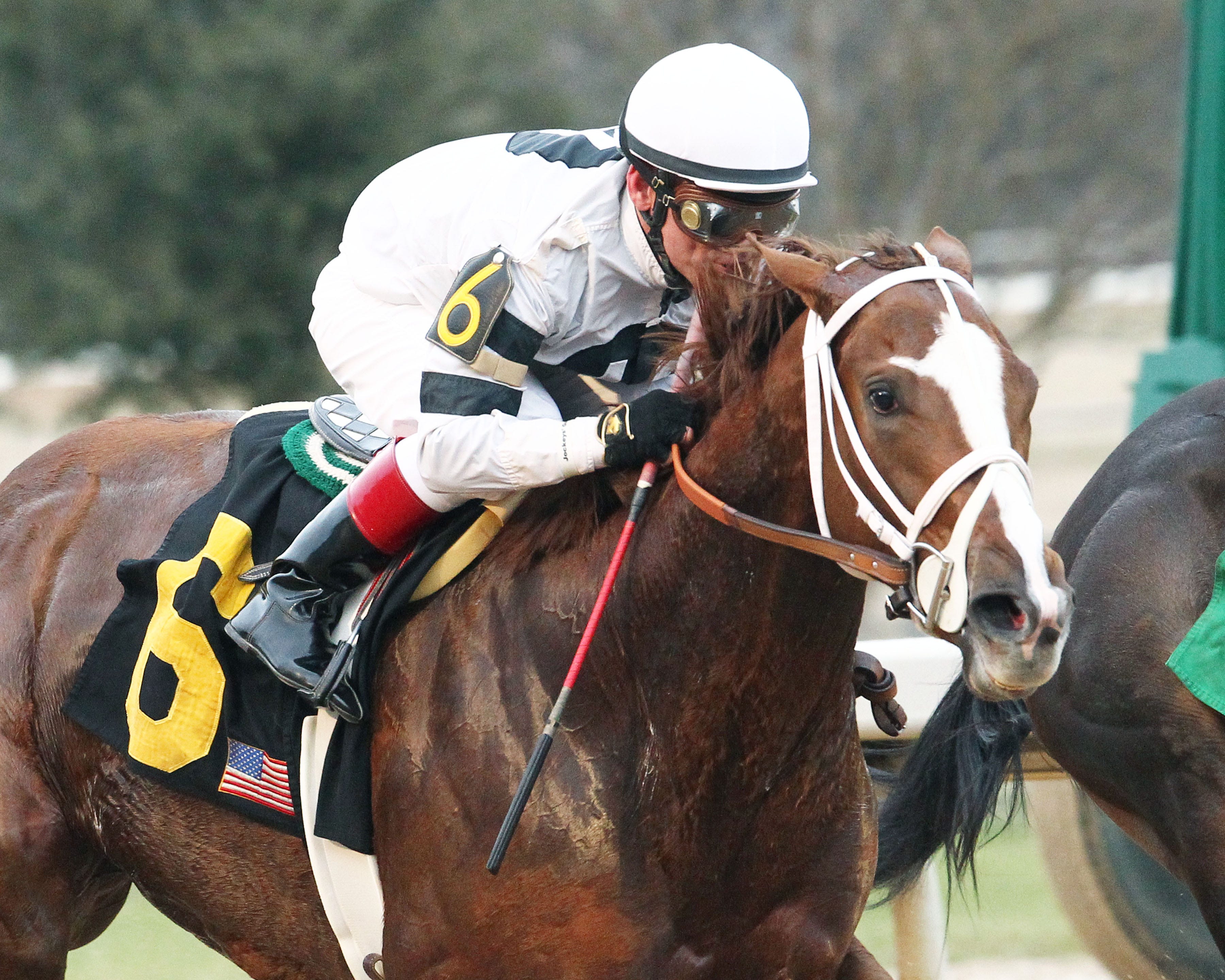 Take Charge Brandi scores narrow victory in Martha Washington