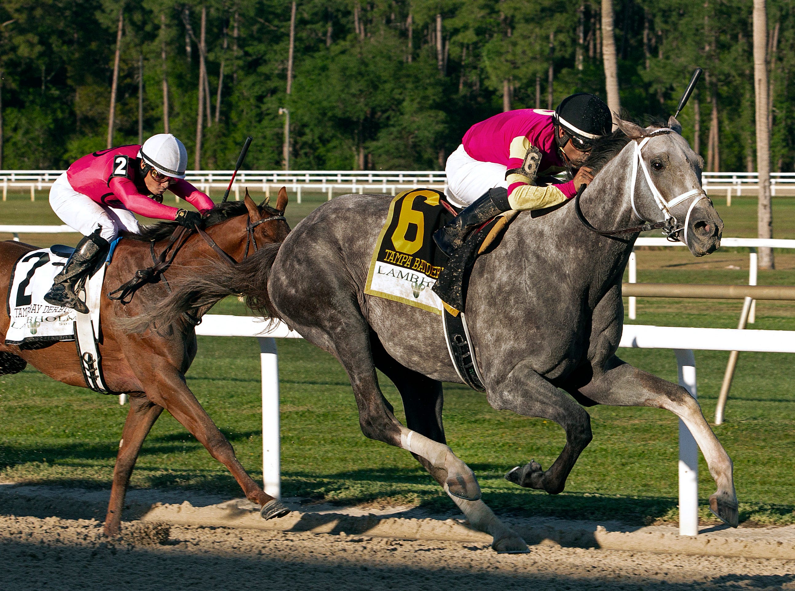 Road to 2023 Kentucky Derby: Tampa Bay Derby analysis
