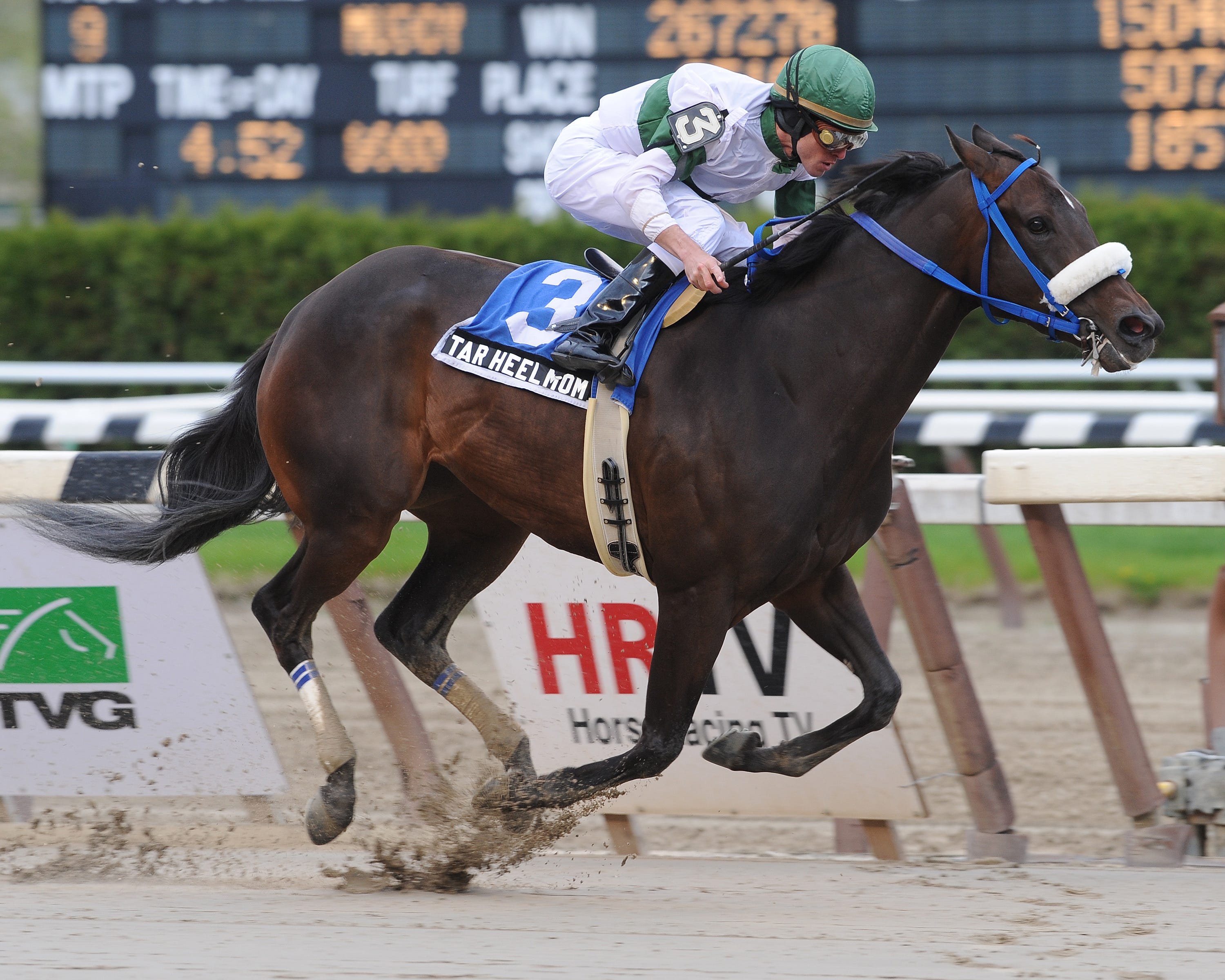 Garland of Roses a crossroads for Tar Heel Mom