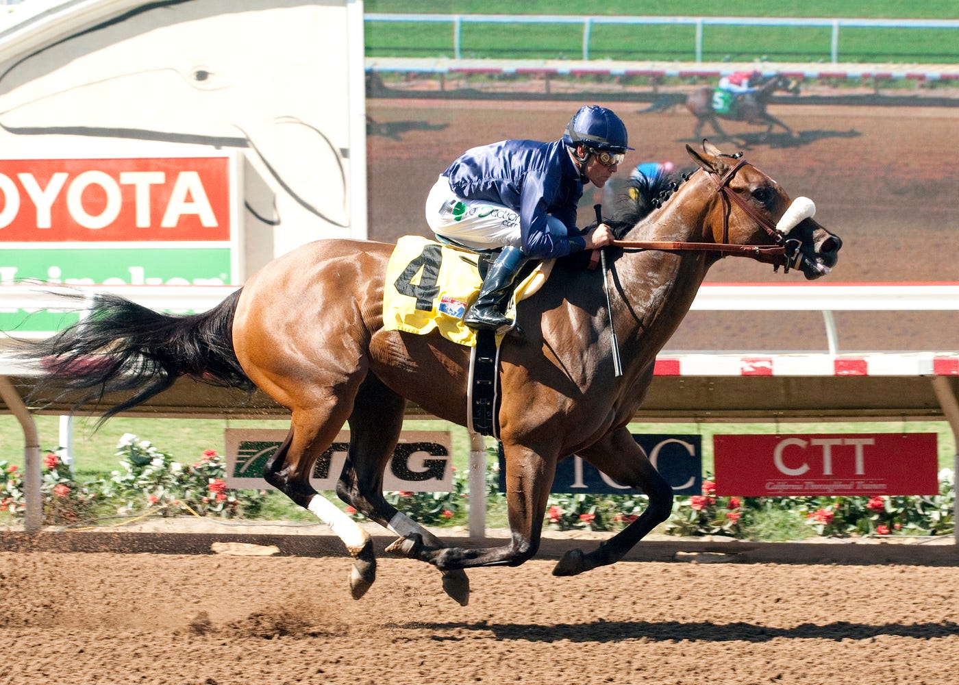 Taris breezes slow, easy by design