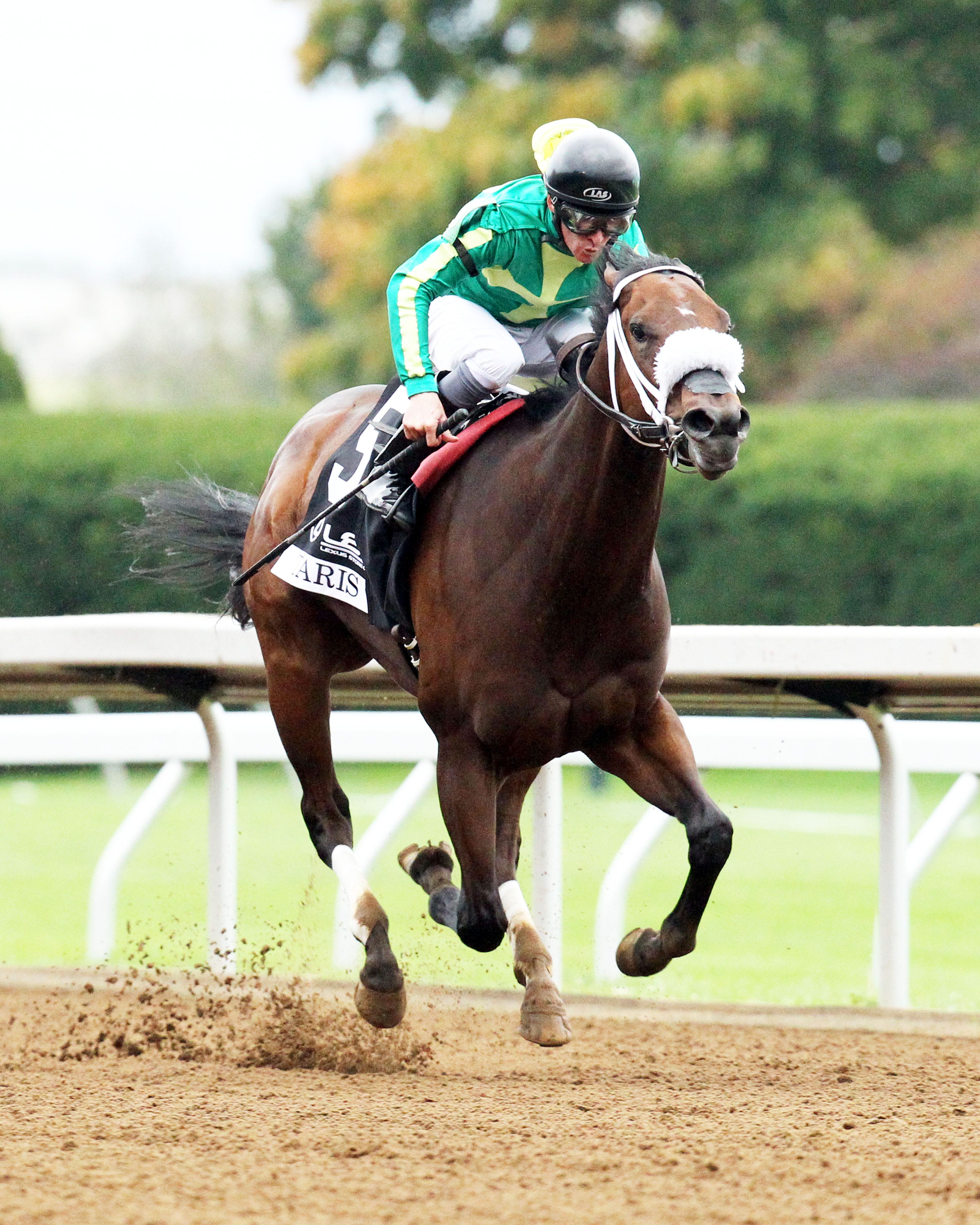 Taris tries to take La Brea for new connections