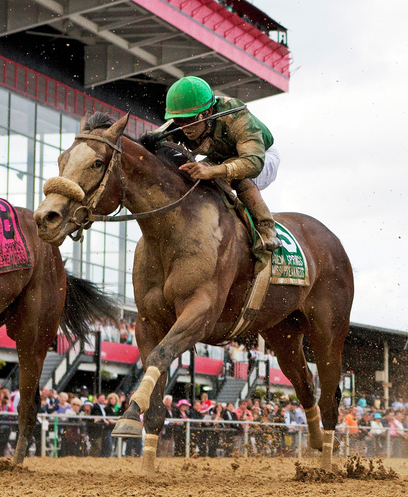 Fat Kat tries to transfer form to dry track in Jostle Stakes