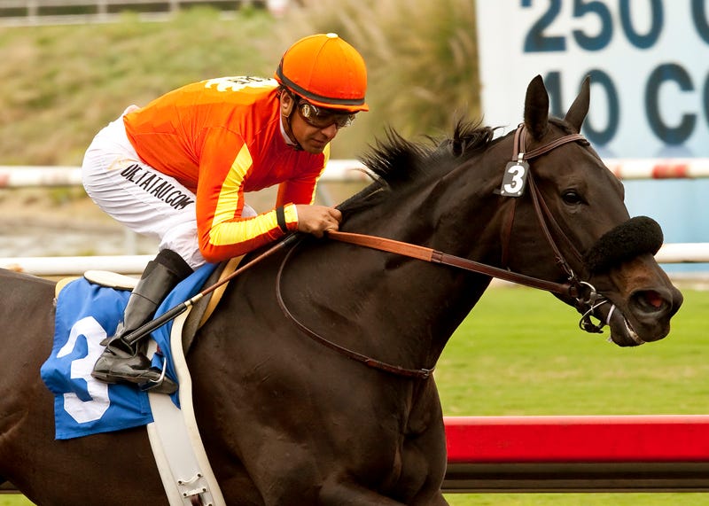 Santa Anita: Teddy's Promise tries to cap career with Santa Monica repeat