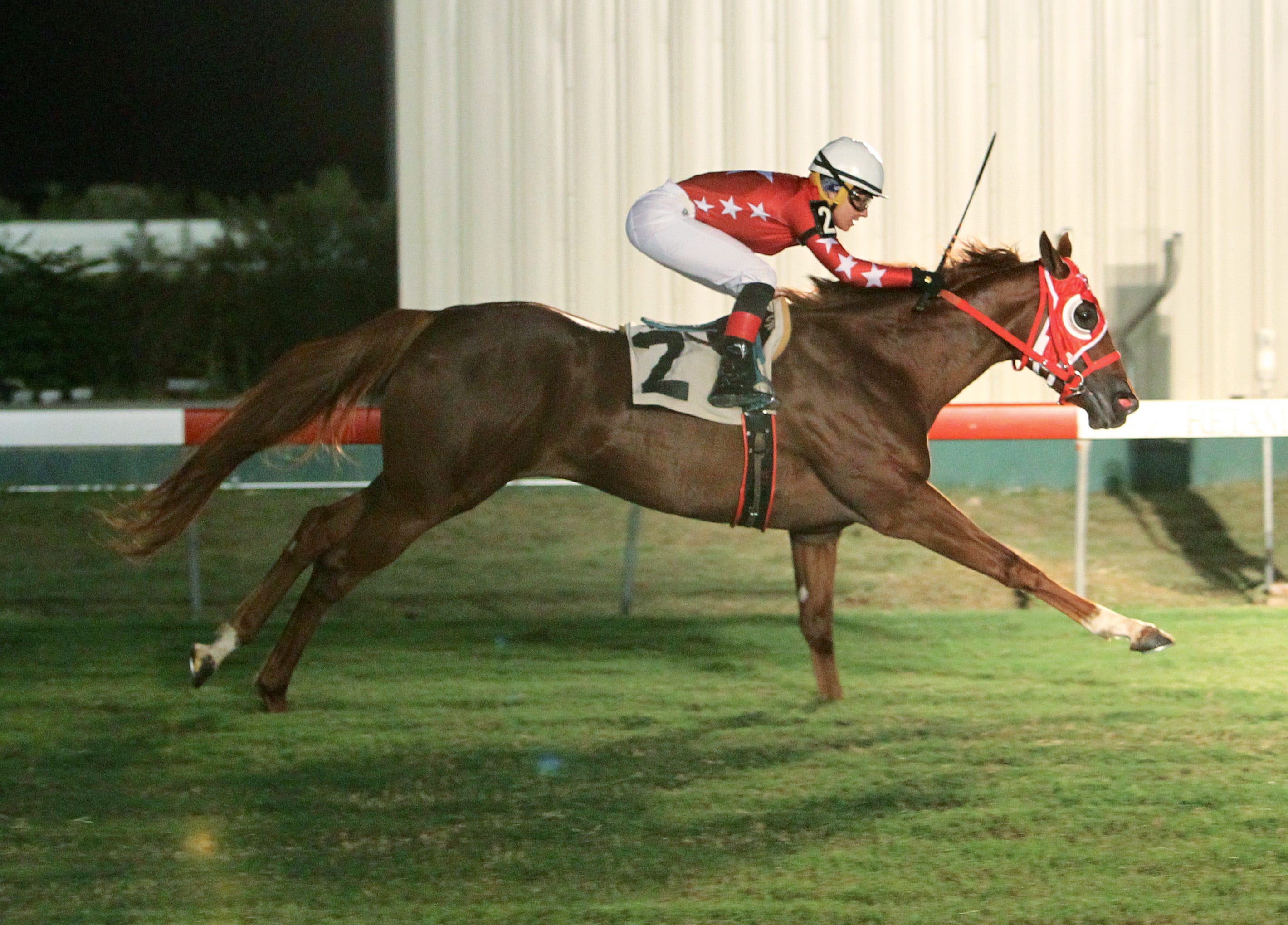 Terra's Angel points to Trapeze Stakes