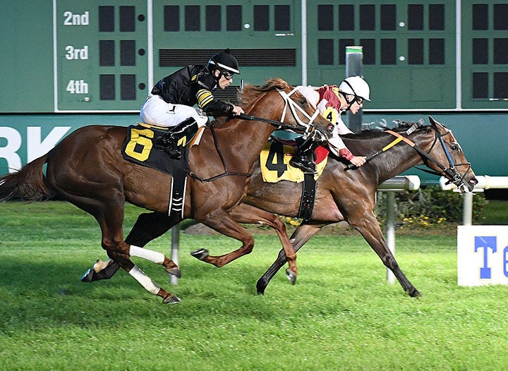 Texas Belle can add to big meet for Willis in Shifflett Scholarship Stakes