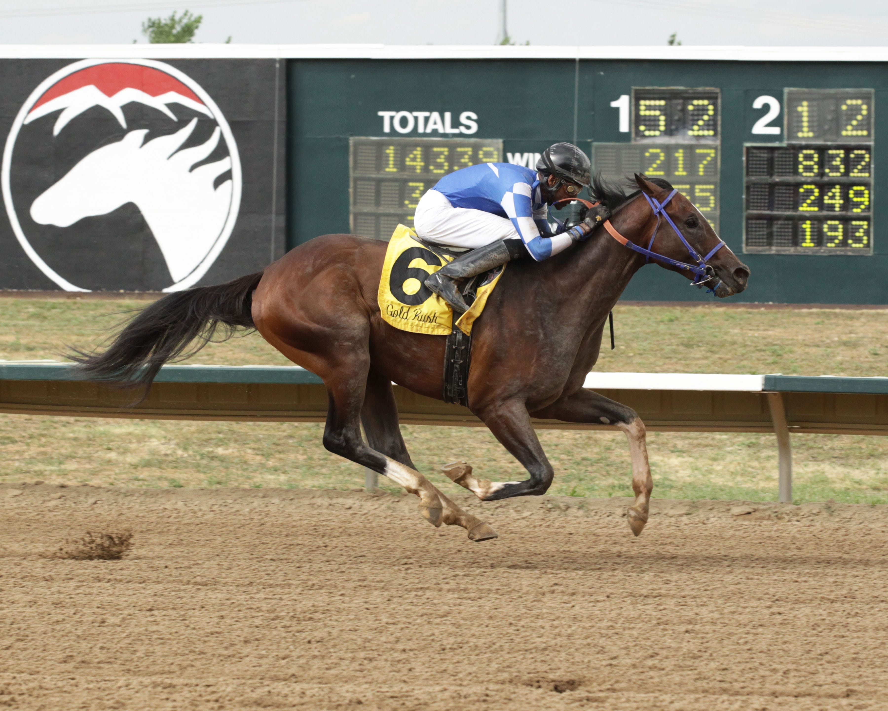 Texas Chrome remains undefeated with Gold Rush victory